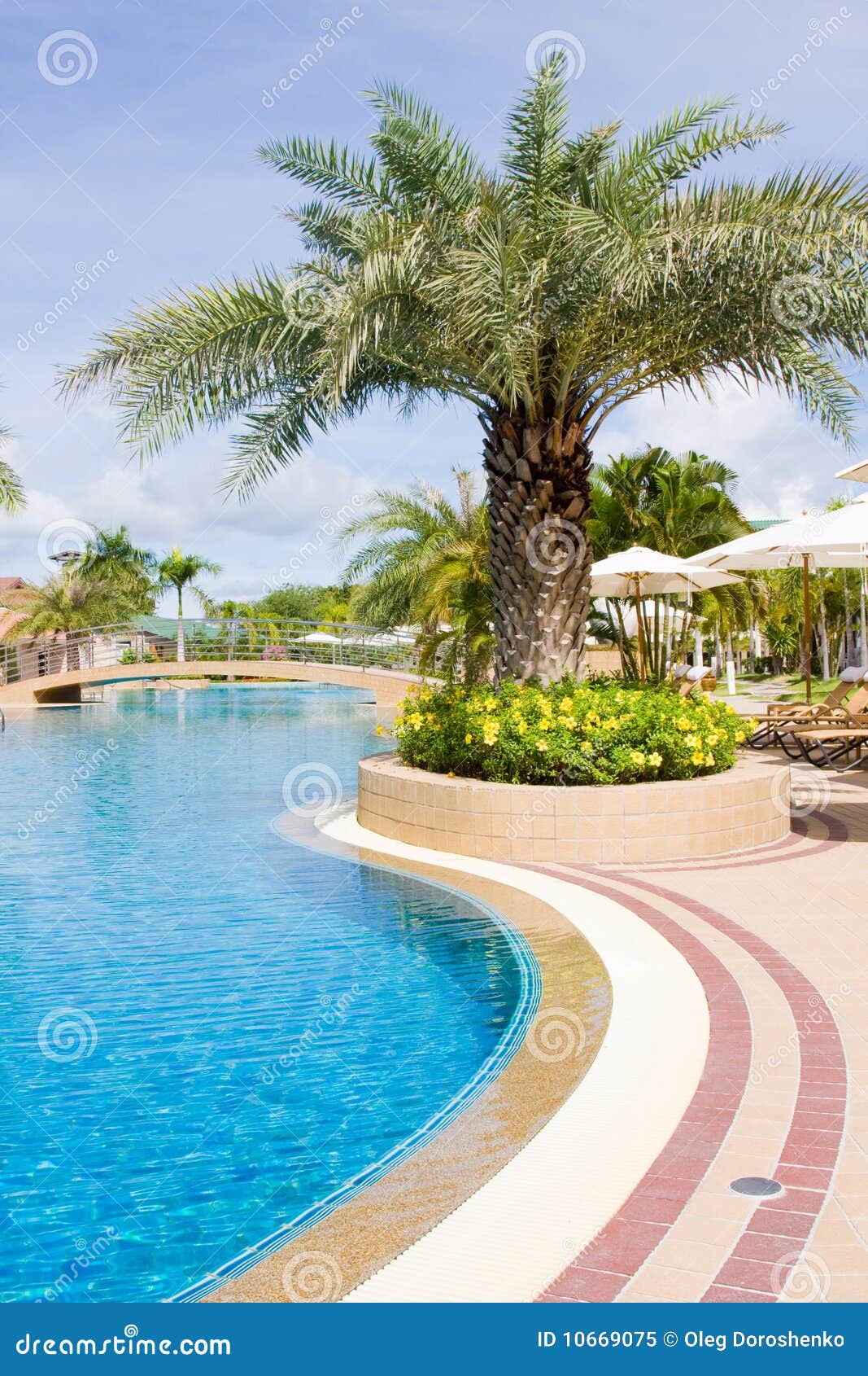 Swimming Pool on a Sunny Day. Stock Image - Image of rich, honeymoon ...