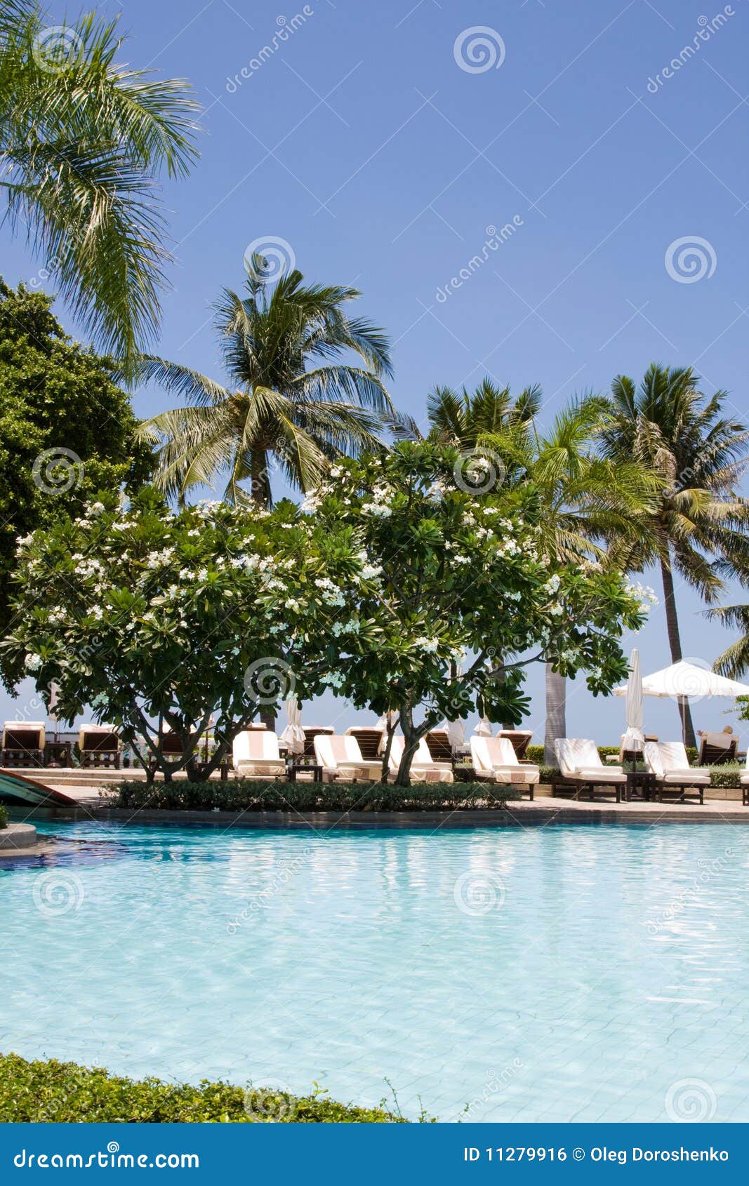 Swimming Pool on a Sunny Day Stock Photo - Image of honeymoon, pool ...