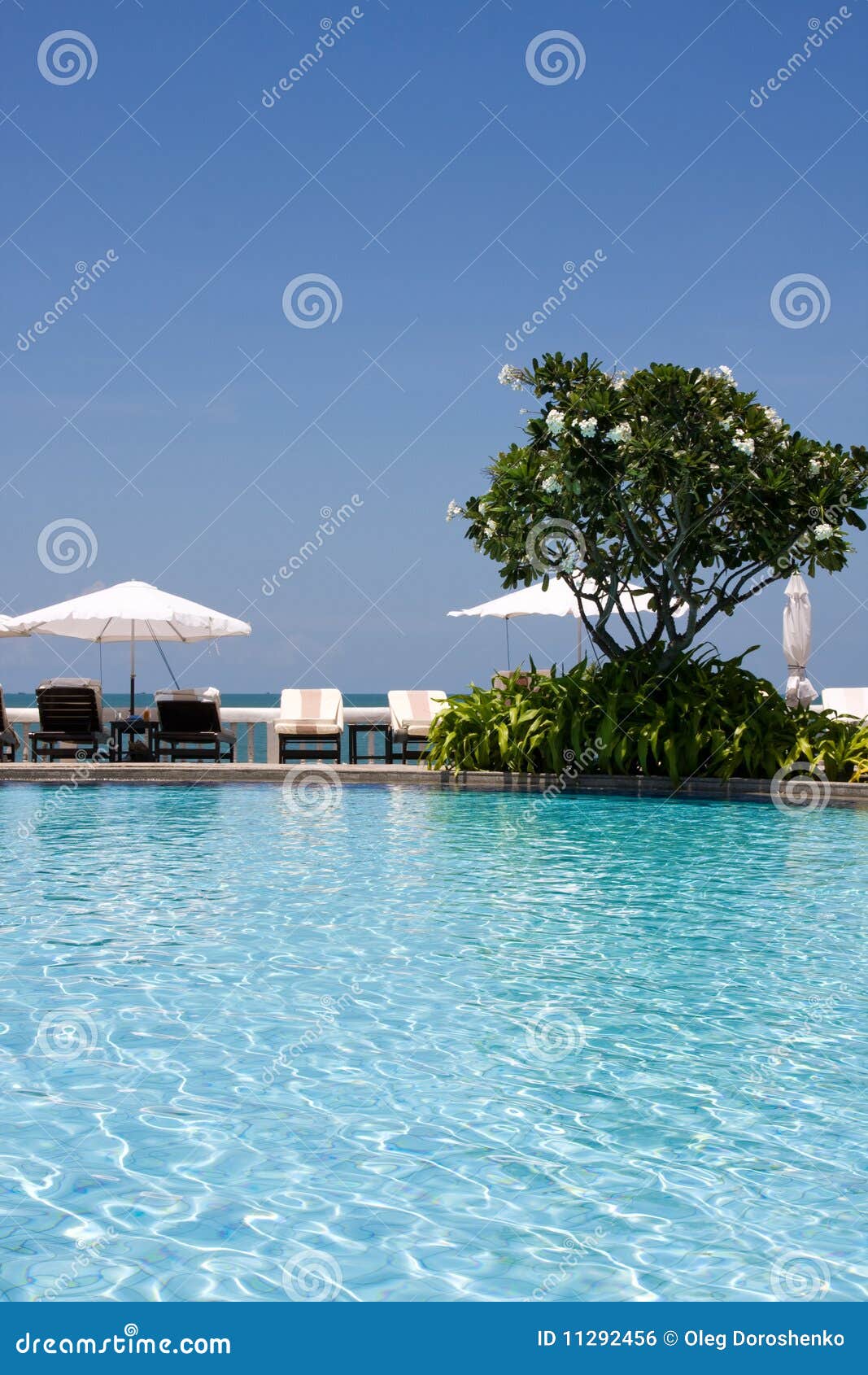 Swimming Pool on a Sunny Day Stock Photo - Image of sunbed, summer ...