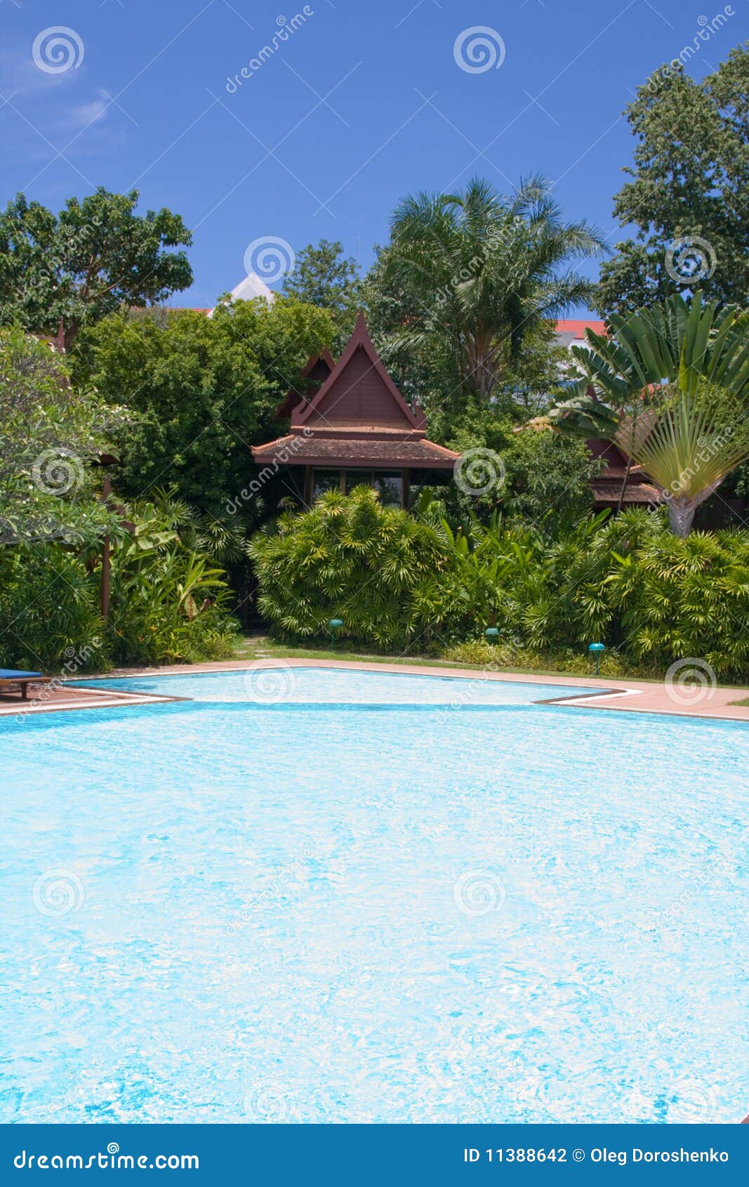 Swimming Pool on a Sunny Day. Stock Photo - Image of holiday, blue ...