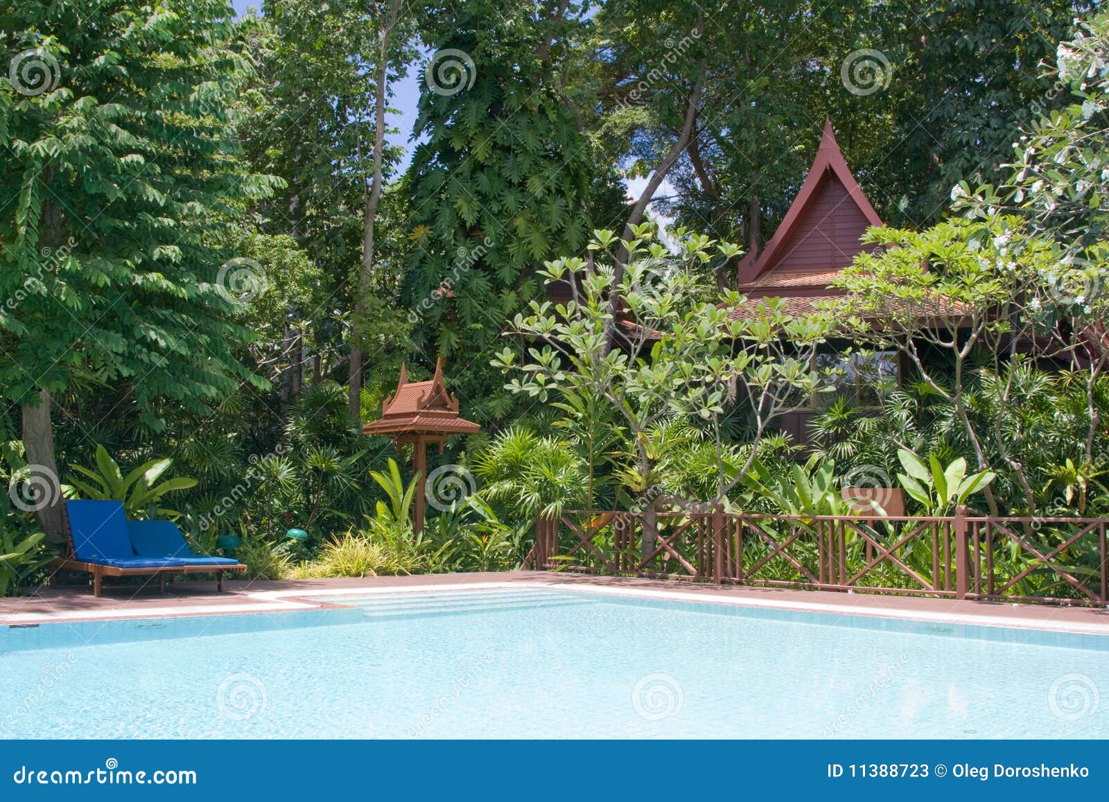 Swimming Pool on a Sunny Day Stock Image - Image of nature, exotic ...