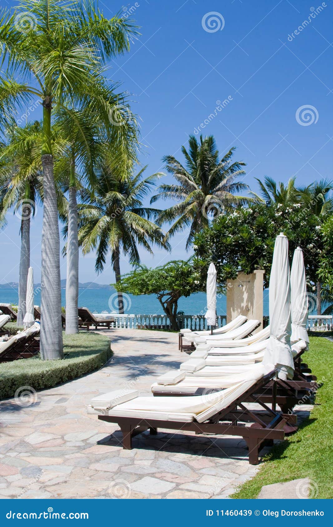 Swimming Pool on a Sunny Day. Stock Image - Image of nature, resort ...