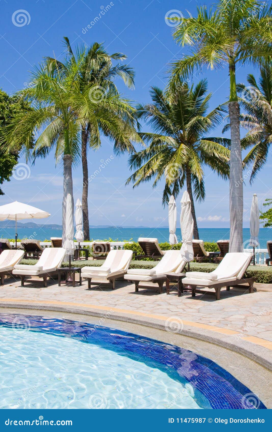 Swimming Pool on a Sunny Day. Stock Image - Image of building, exotic ...