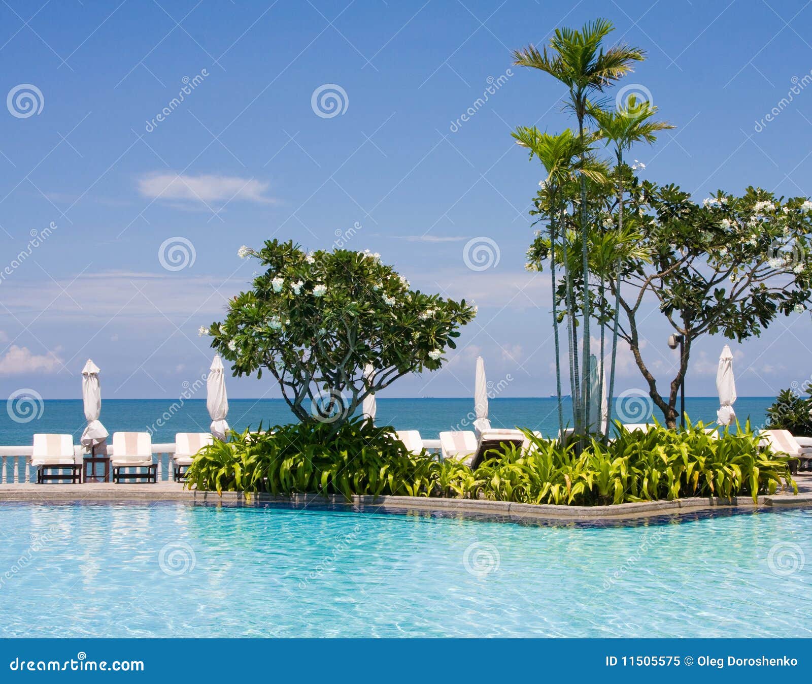 Swimming Pool on a Sunny Day. Stock Image - Image of color, nature ...