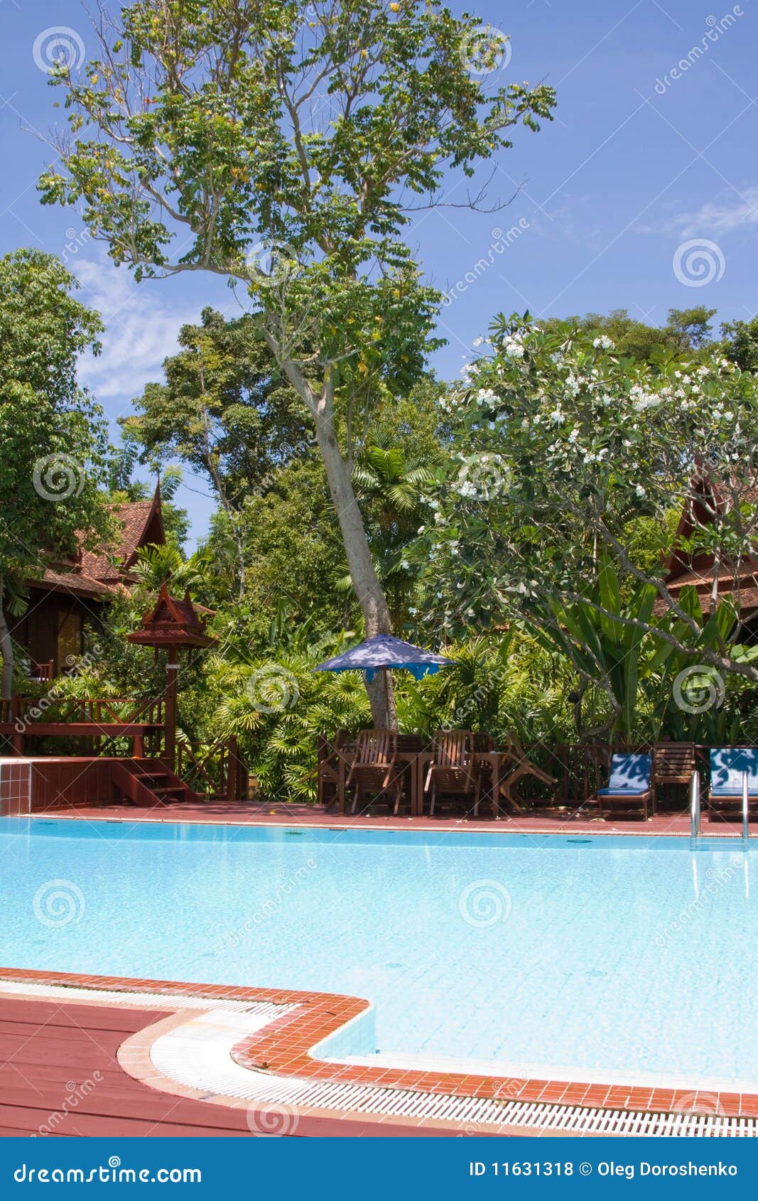 Swimming Pool on a Sunny Day Stock Photo - Image of sunbed, investment ...