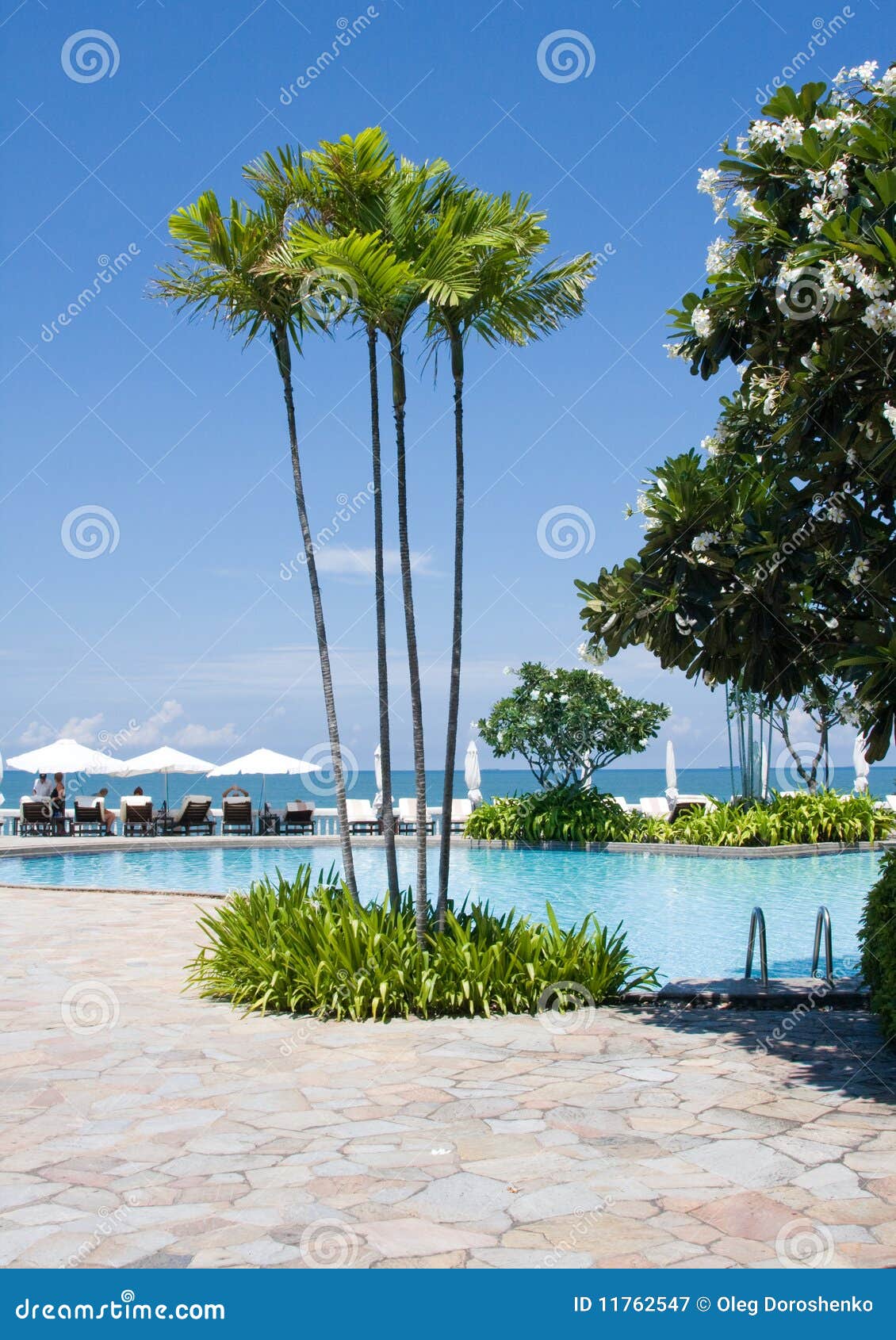 Swimming Pool on a Sunny Day. Stock Image - Image of investment, relax ...
