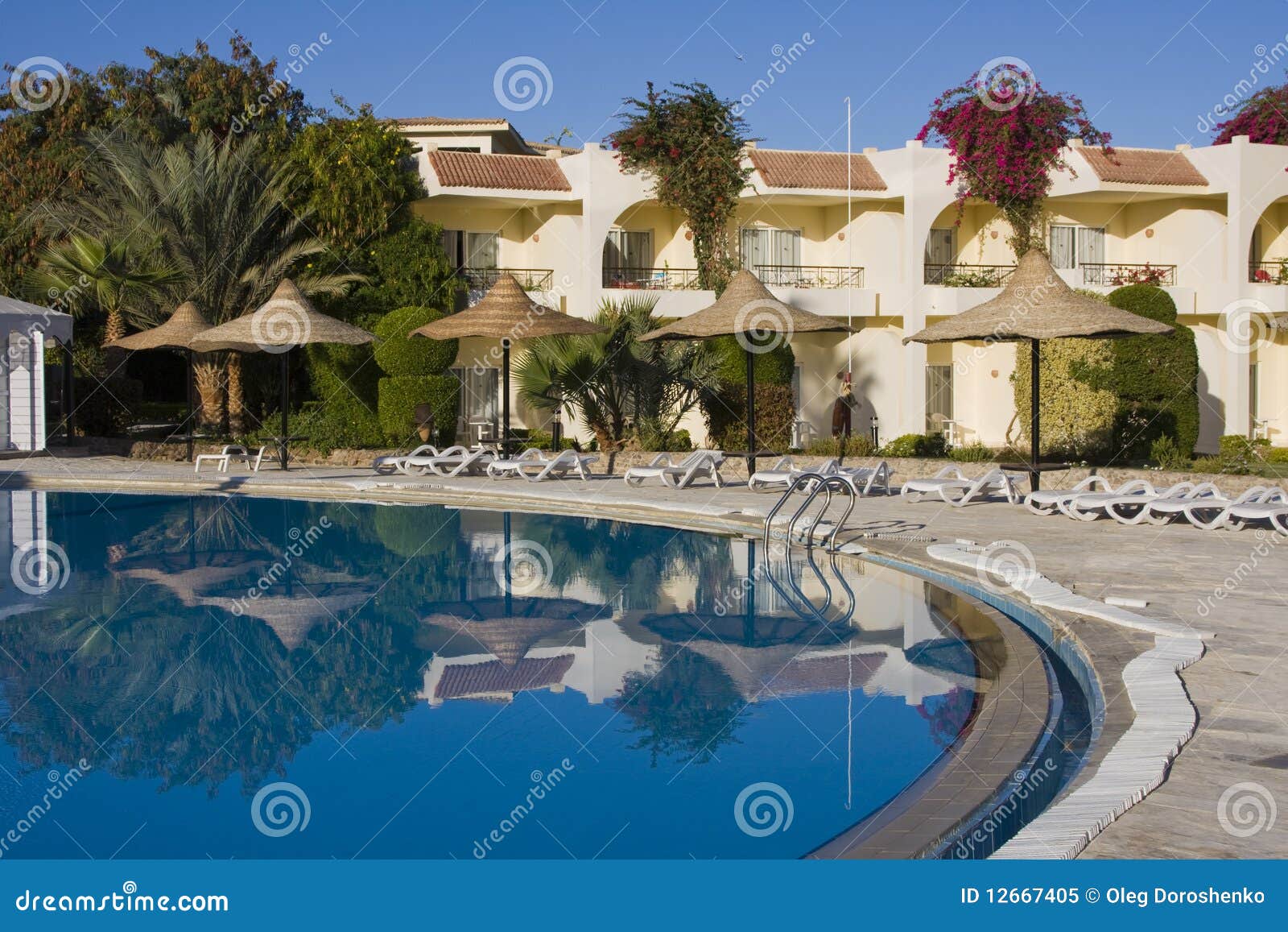 Swimming Pool on a Sunny Day. Stock Image - Image of nature, luxurious ...