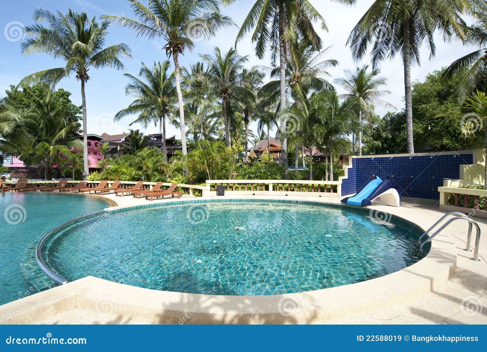 Swimming Pool on a Sunny Day Stock Image - Image of palm, parasol: 22588019