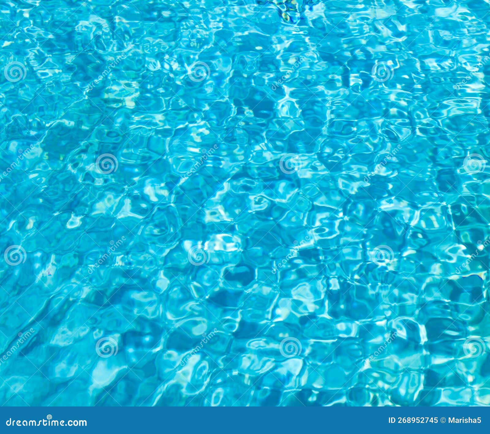Swimming pool stock image. Image of healthy, diving - 268952745 Swimming pool stock image. Image of healthy, diving - 268952745