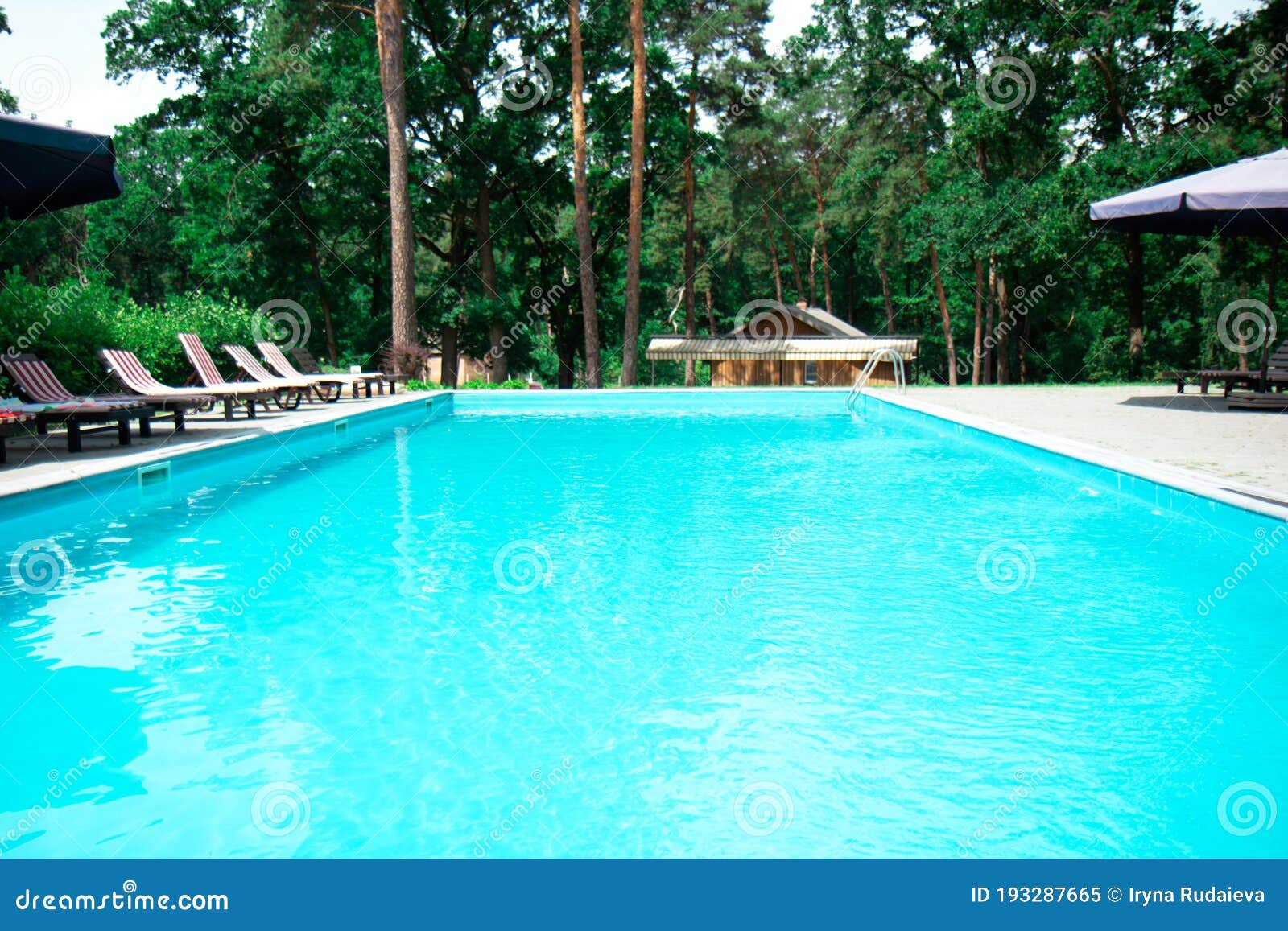 Swimming Pool. Pool Surrounded by Green Trees Stock Image - Image of ...