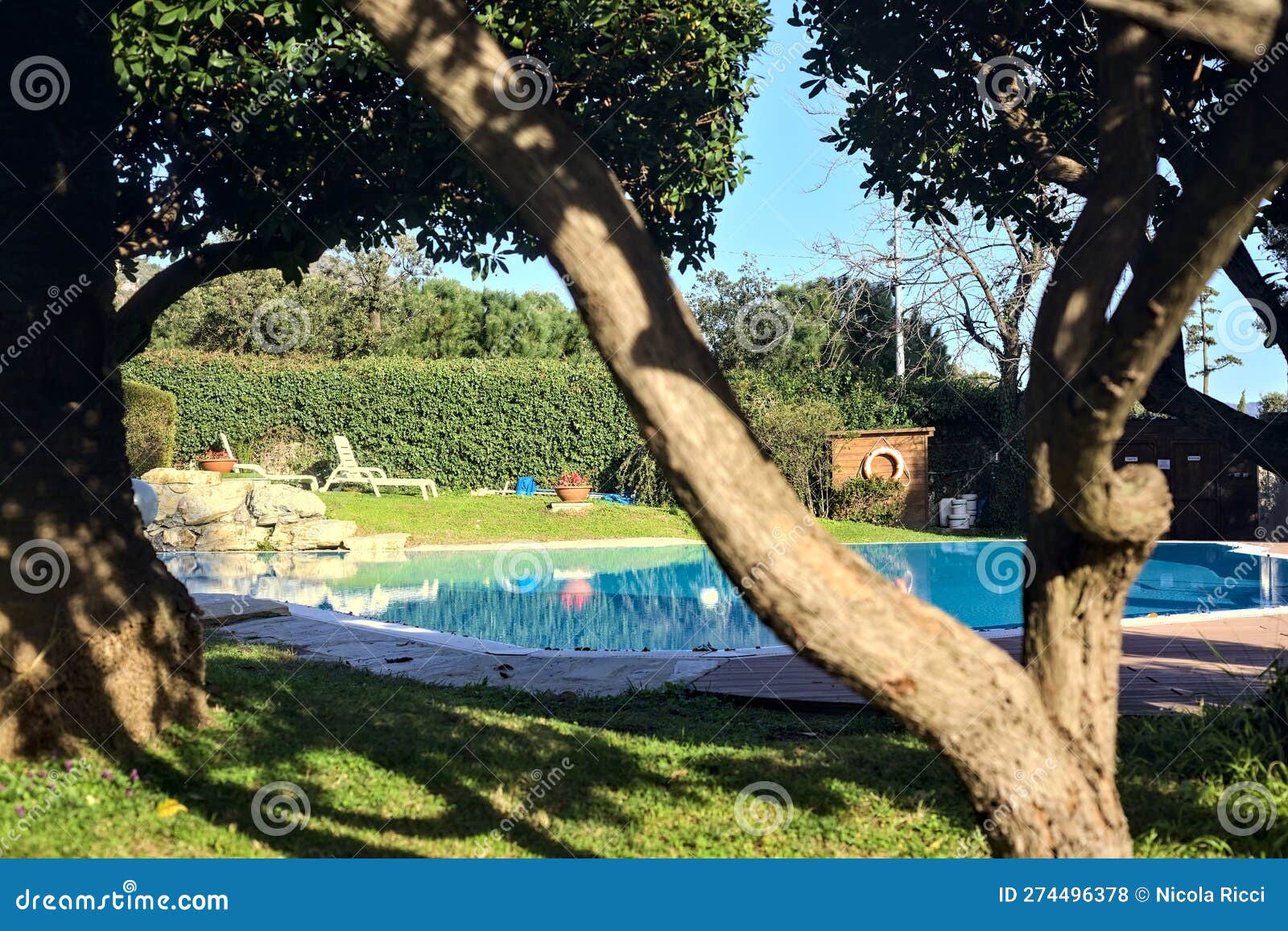 Swimming Pool Surrounded by Trees in a Park by the Seaside at Sunset ...