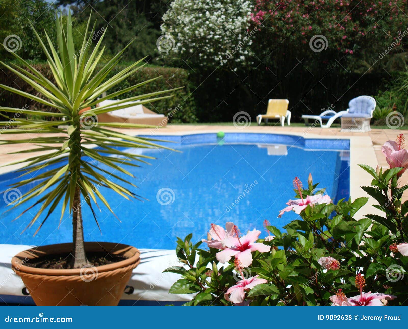 Swimming pool terrace stock photo. Image of gardens, swimming - 9092638