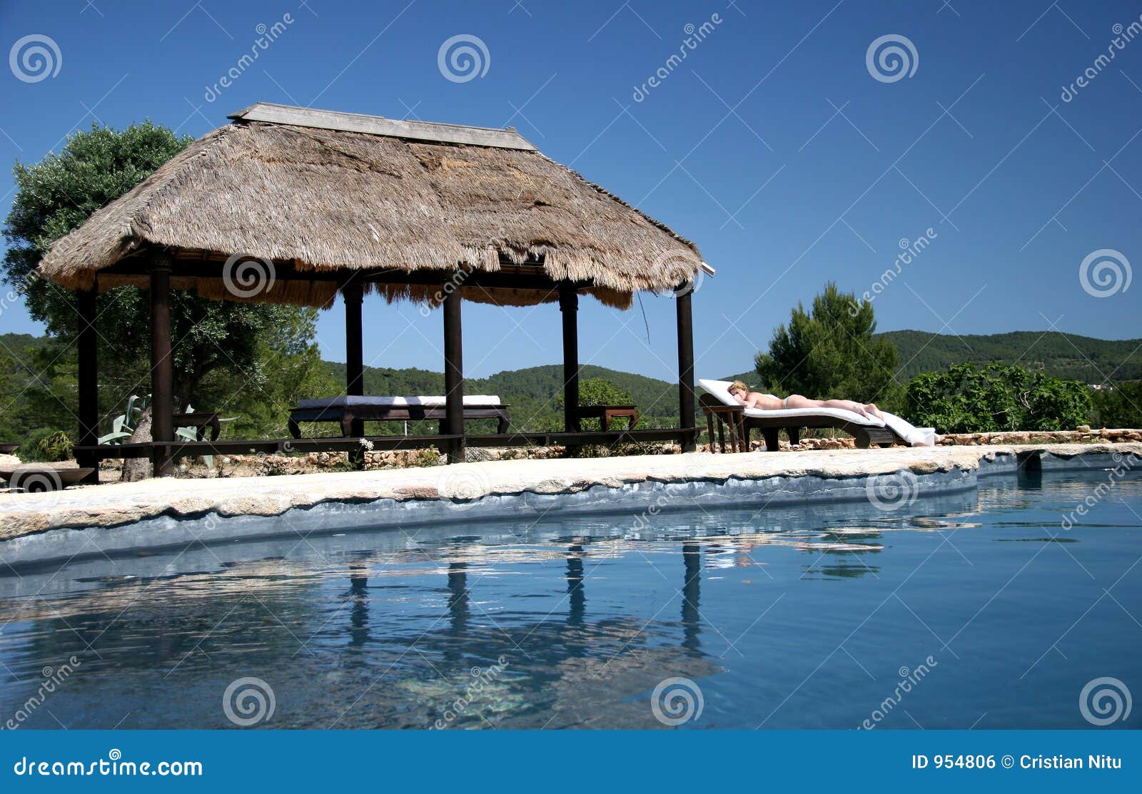 Swimming pool and tiki hut stock photo. Image of natural - 954806