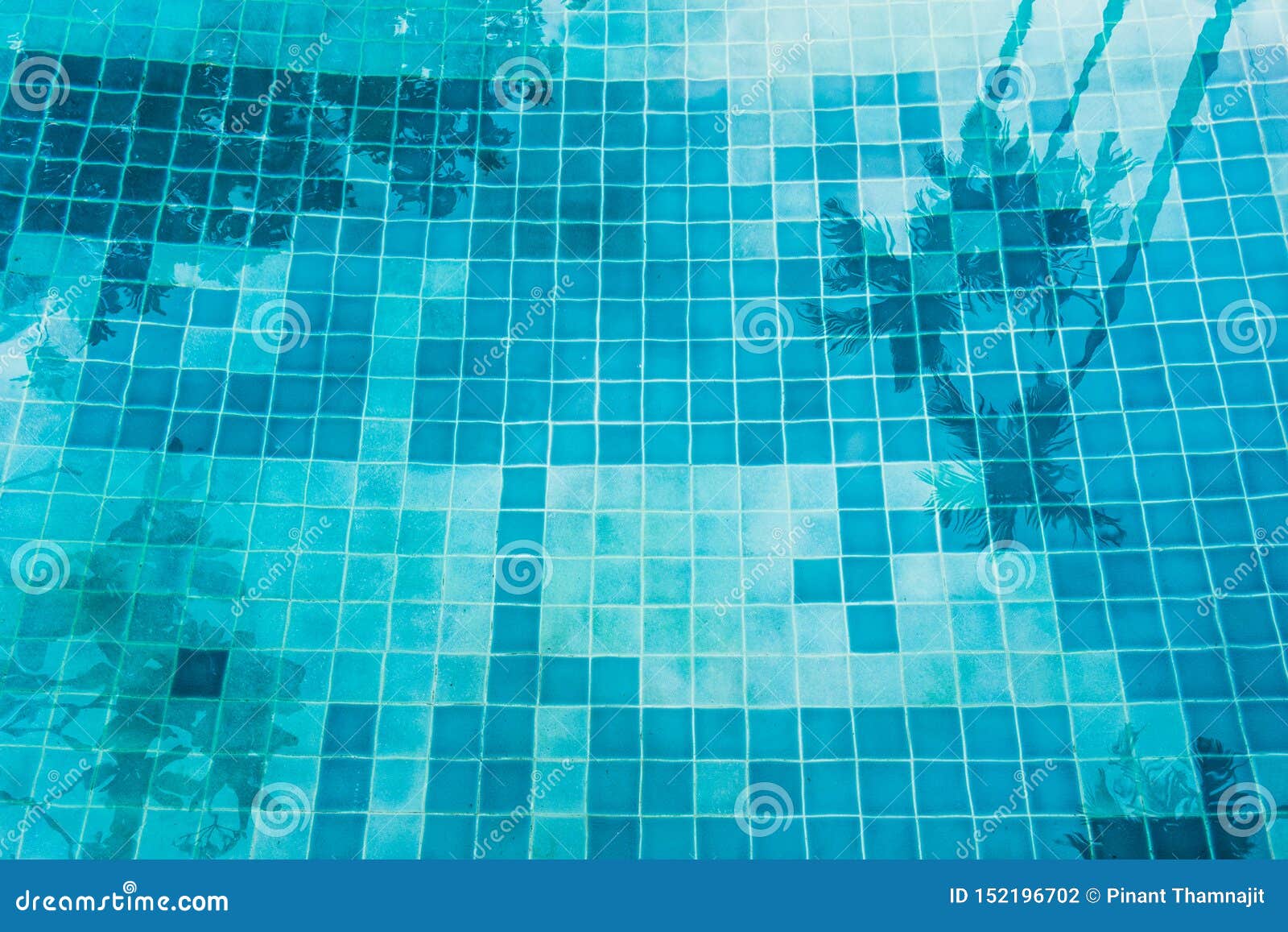 Swimming pool tile. stock photo. Image of interior, floor - 152196702