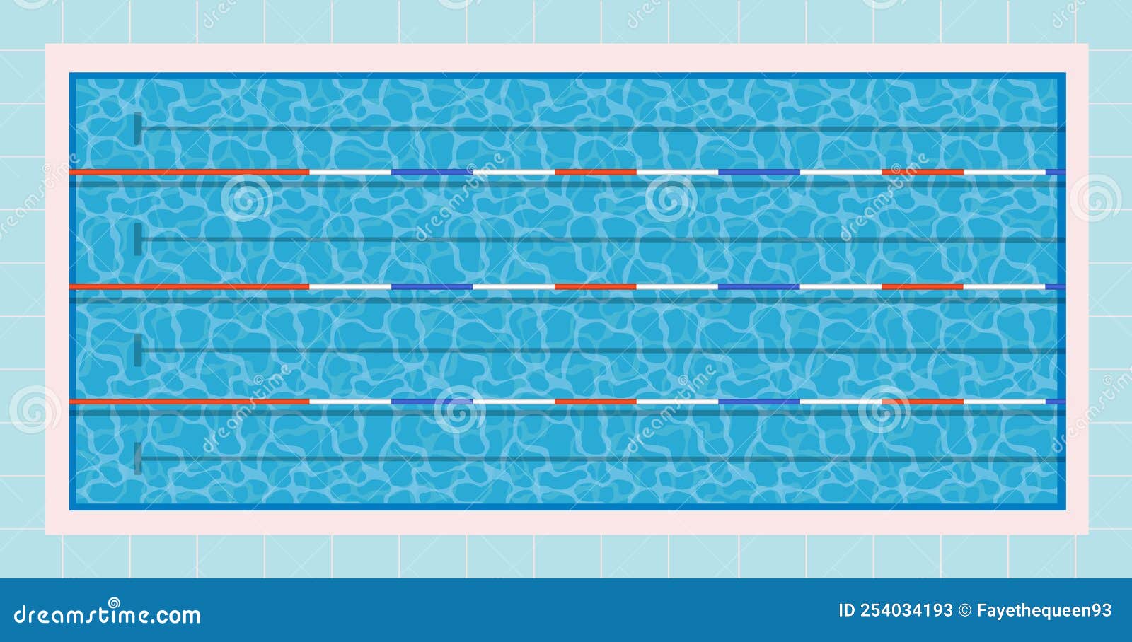 Swimming Pool Top View. Olympic Pool Swimming. Paths Dip Pool Top View ...