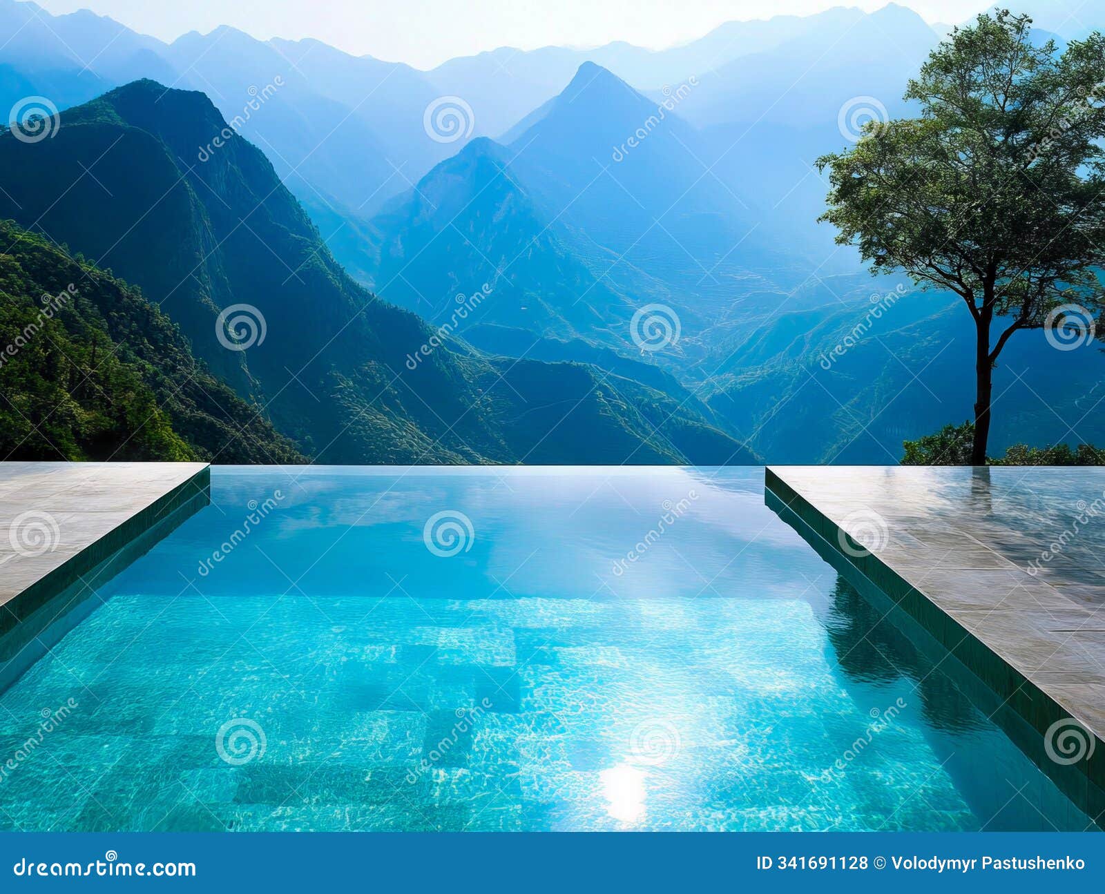 A Swimming Pool with a Tree in the Middle of it Stock Photo - Image of ...