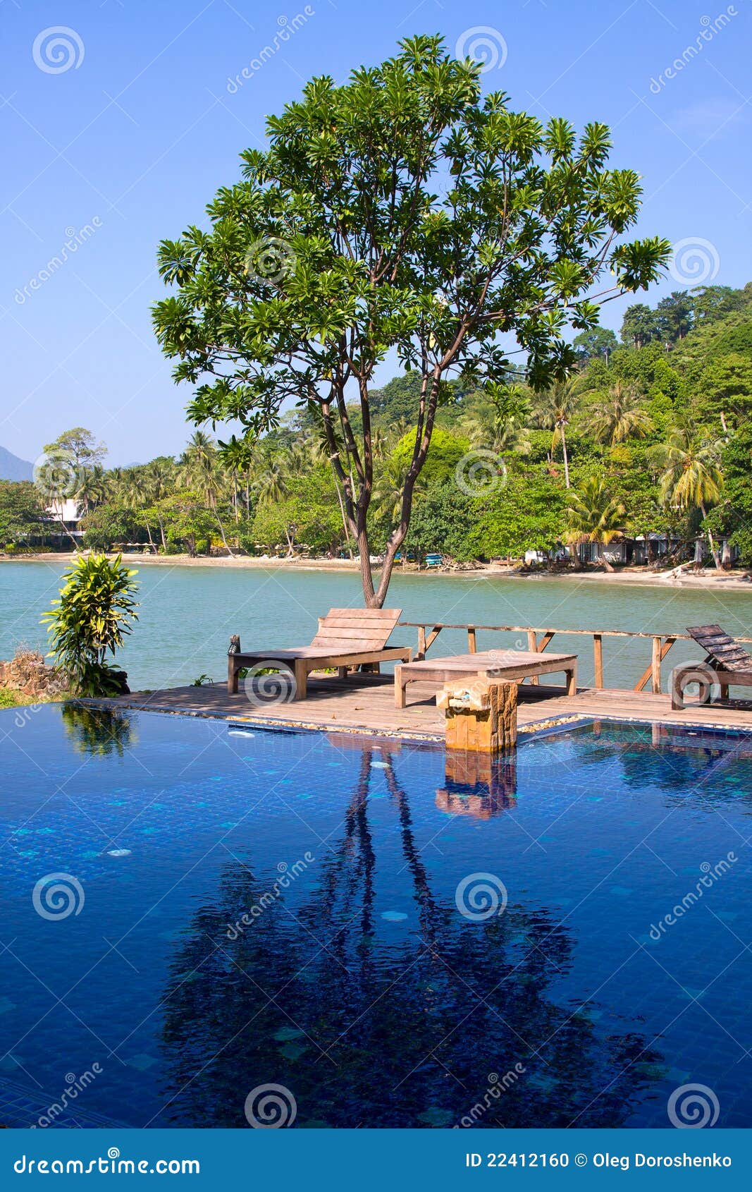 Swimming Pool and Tree Near the Sea Stock Photo - Image of outdoor ...
