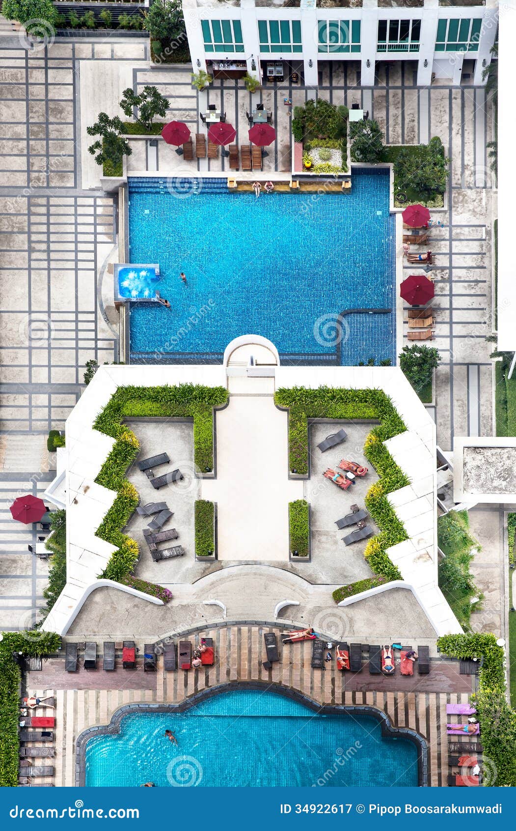Swimming Pool with Trees, Top View. Stock Image - Image of swimming ...