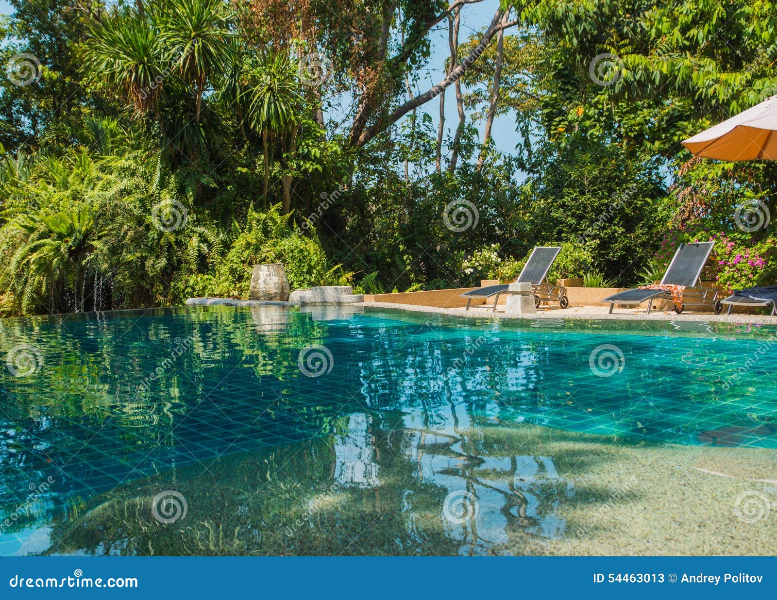 Swimming Pool in Tropical Forest Stock Image - Image of beach, water ...
