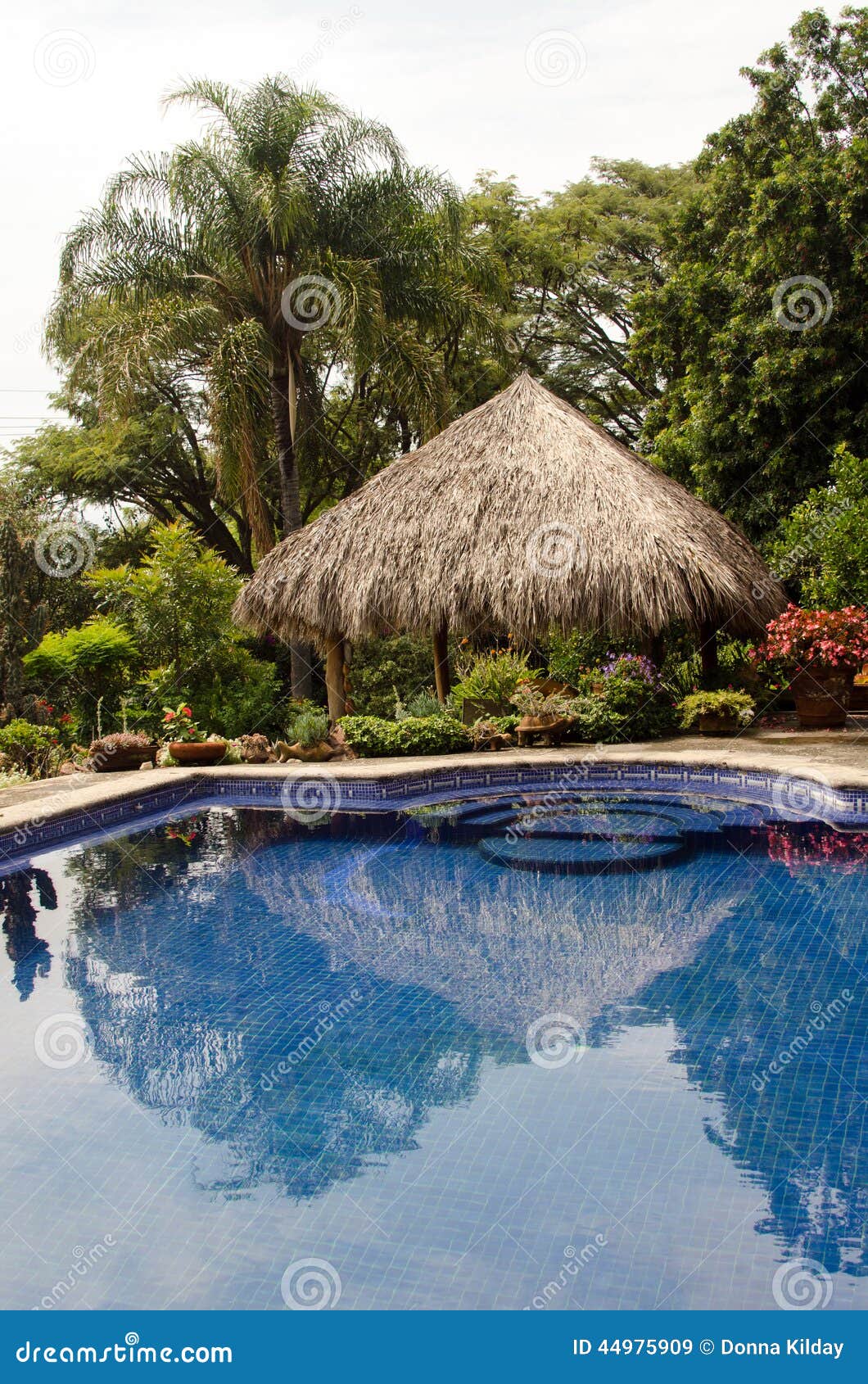 Swimming Pool in Tropical Garden Stock Image - Image of mexican, garden ...