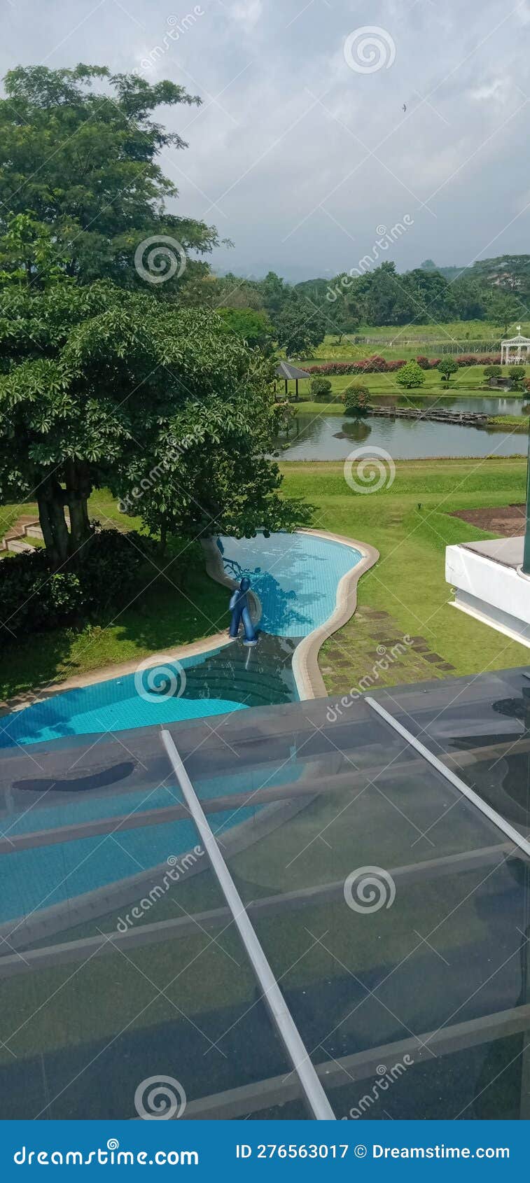 Swimming Pool Under Shady Trees Stock Image - Image of gazebo, leaf ...