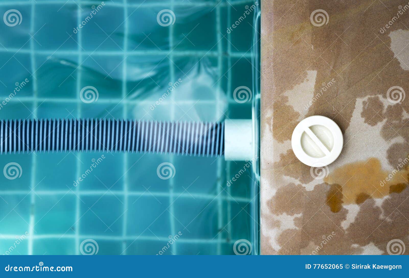Swimming pool vacuum point stock image. Image of cleaner - 77652065