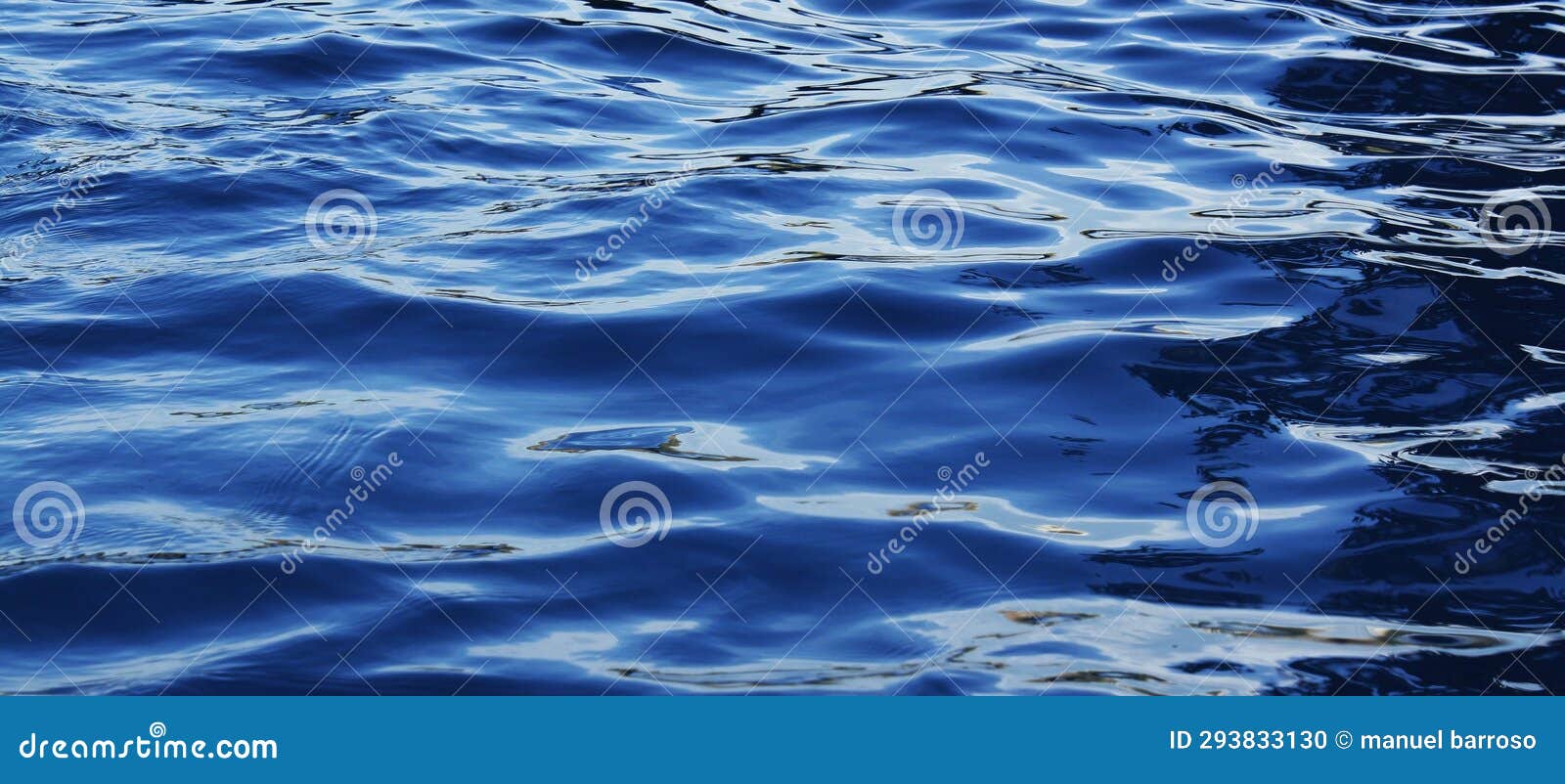 Swimming Pool Water Making Waves. Stock Photo - Image of fish, swimming ...