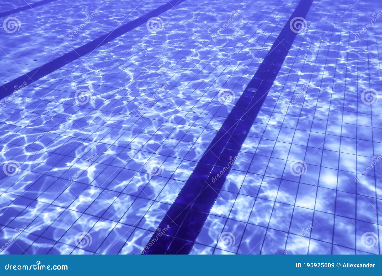 Waterpool Reflection Of Trees Royalty-Free Stock Image | CartoonDealer ...