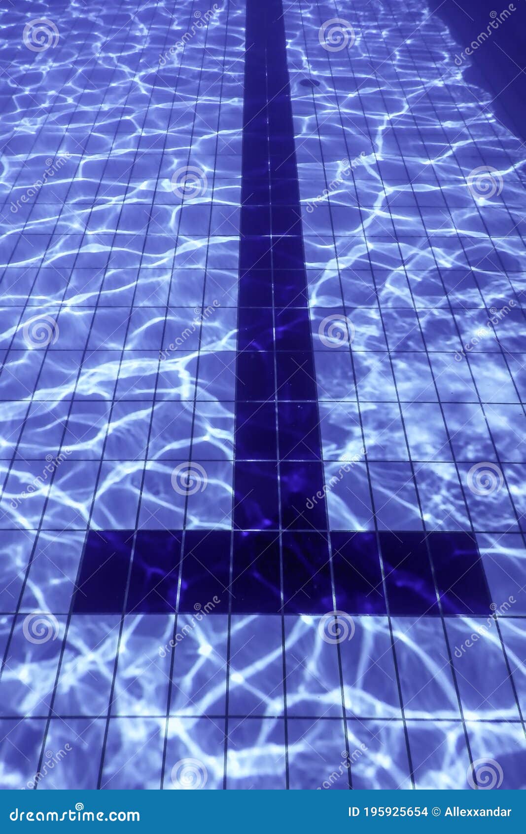 Waterpool Reflection Of Trees Royalty-Free Stock Image | CartoonDealer ...