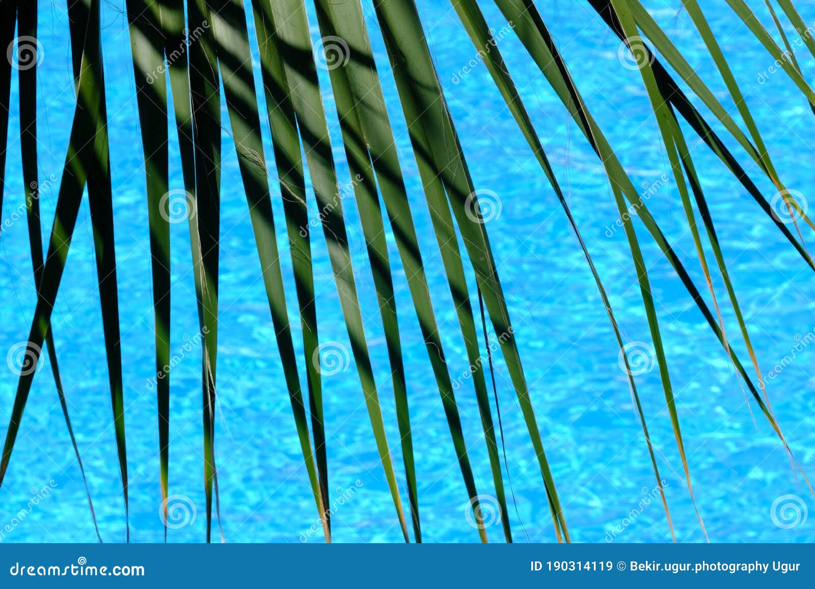 Swimming Pool Water Sun Reflection Background. Ripple Water Stock Image ...
