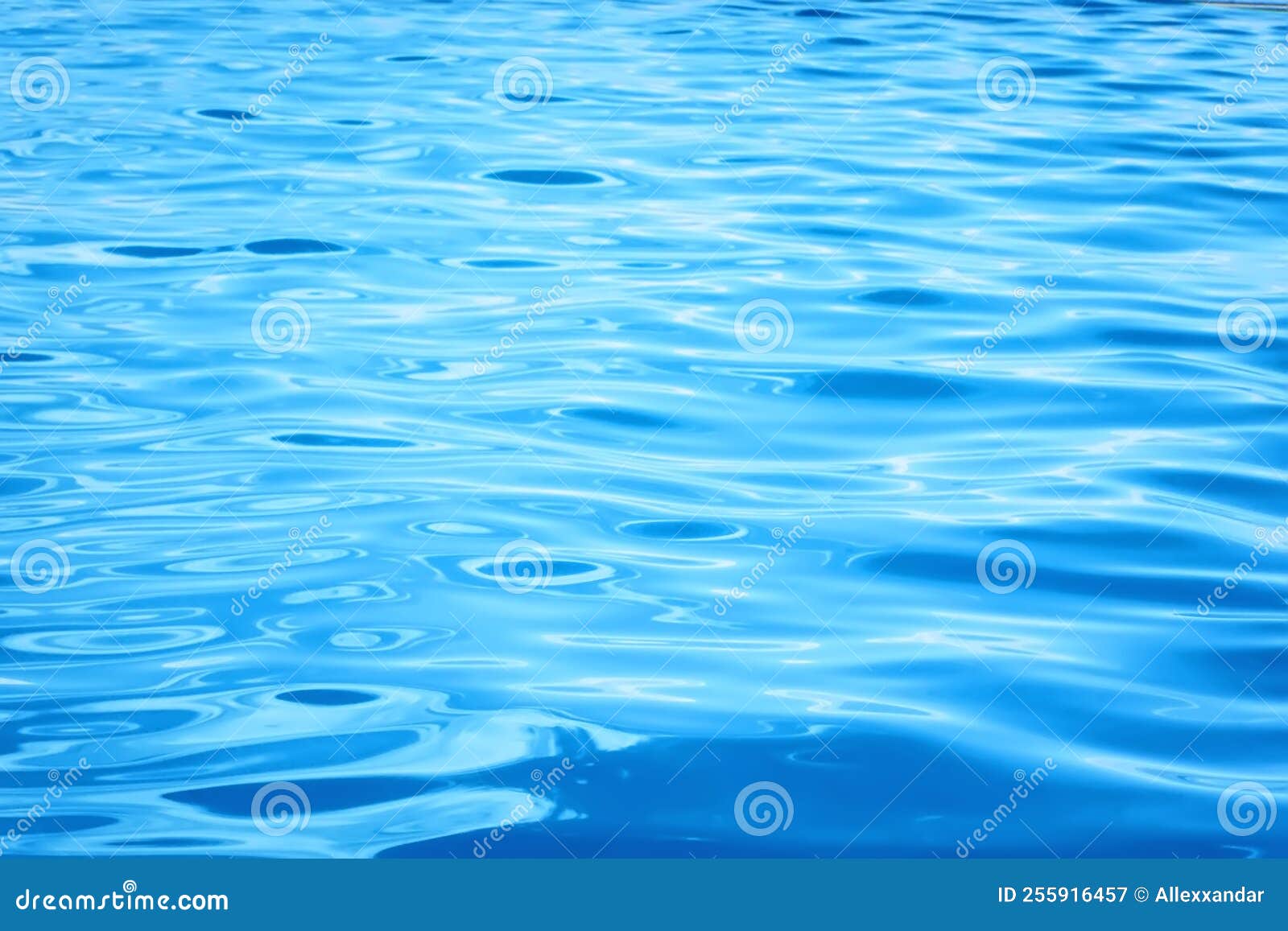 Swimming Pool Water Sunny Reflections Stock Image - Image of ocean ...