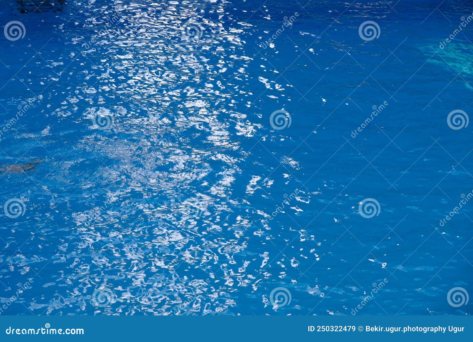 Swimming Pool Water Surface Stock Image - Image of holiday, swimming ...