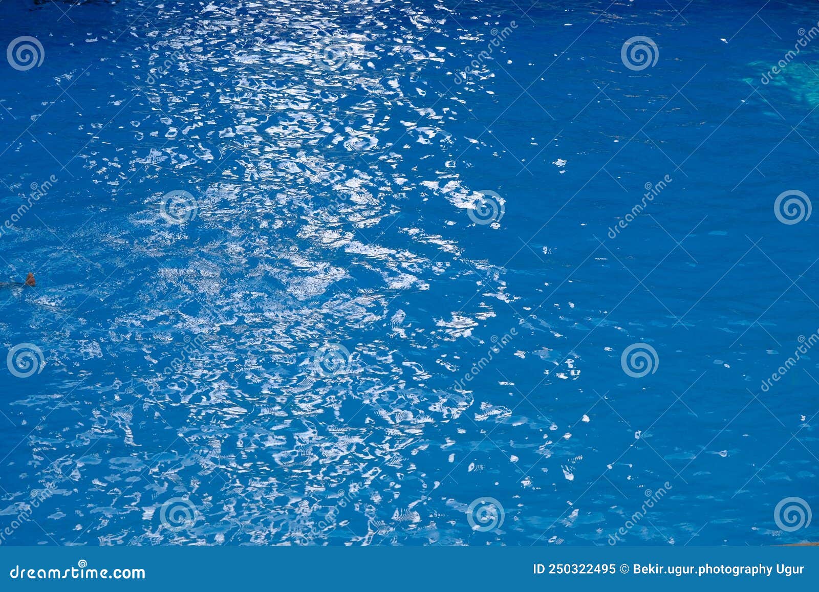Swimming Pool Water Surface Stock Image - Image of water, swimming ...