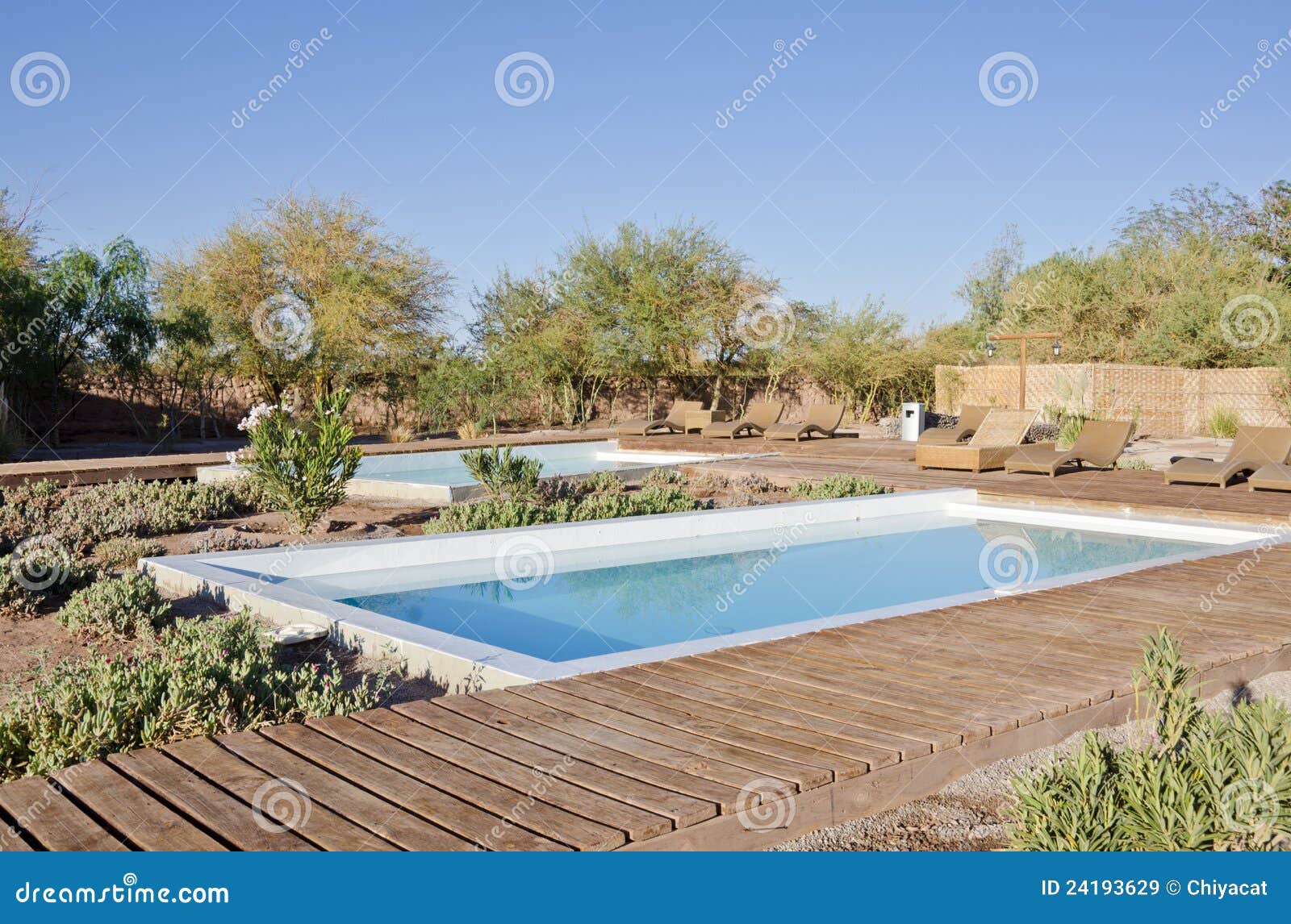 Swimming Pools in the Garden Stock Image - Image of bush, leisure: 24193629