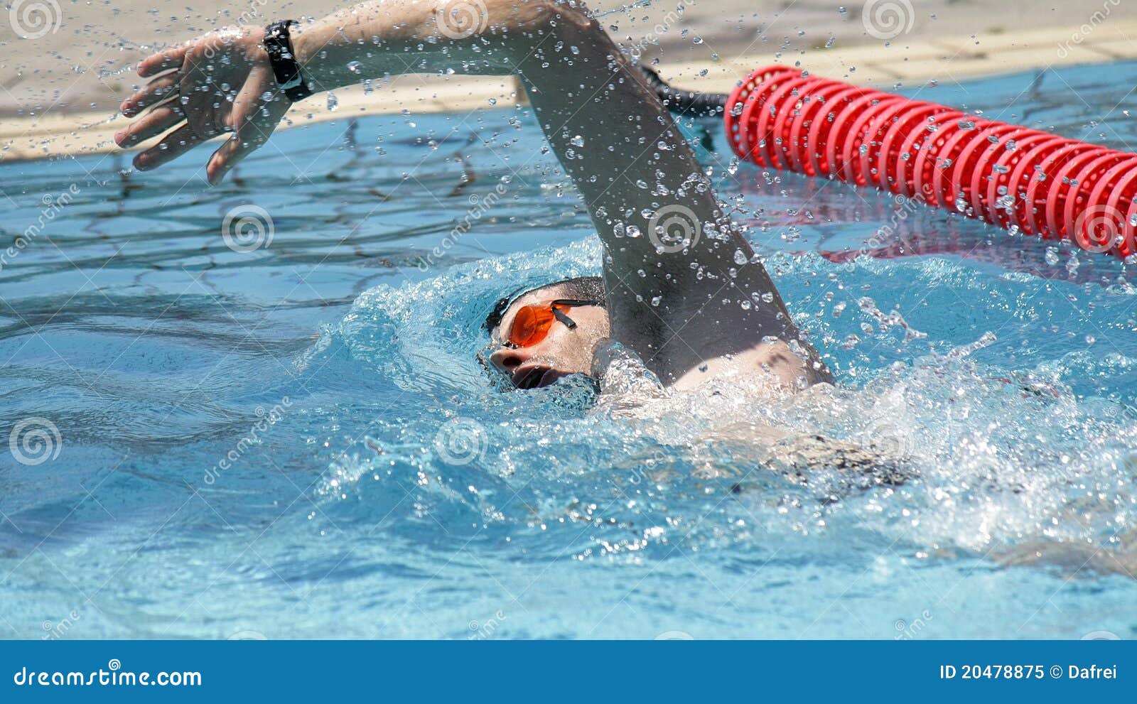 Swimming Professional Picture. Image: 20478875