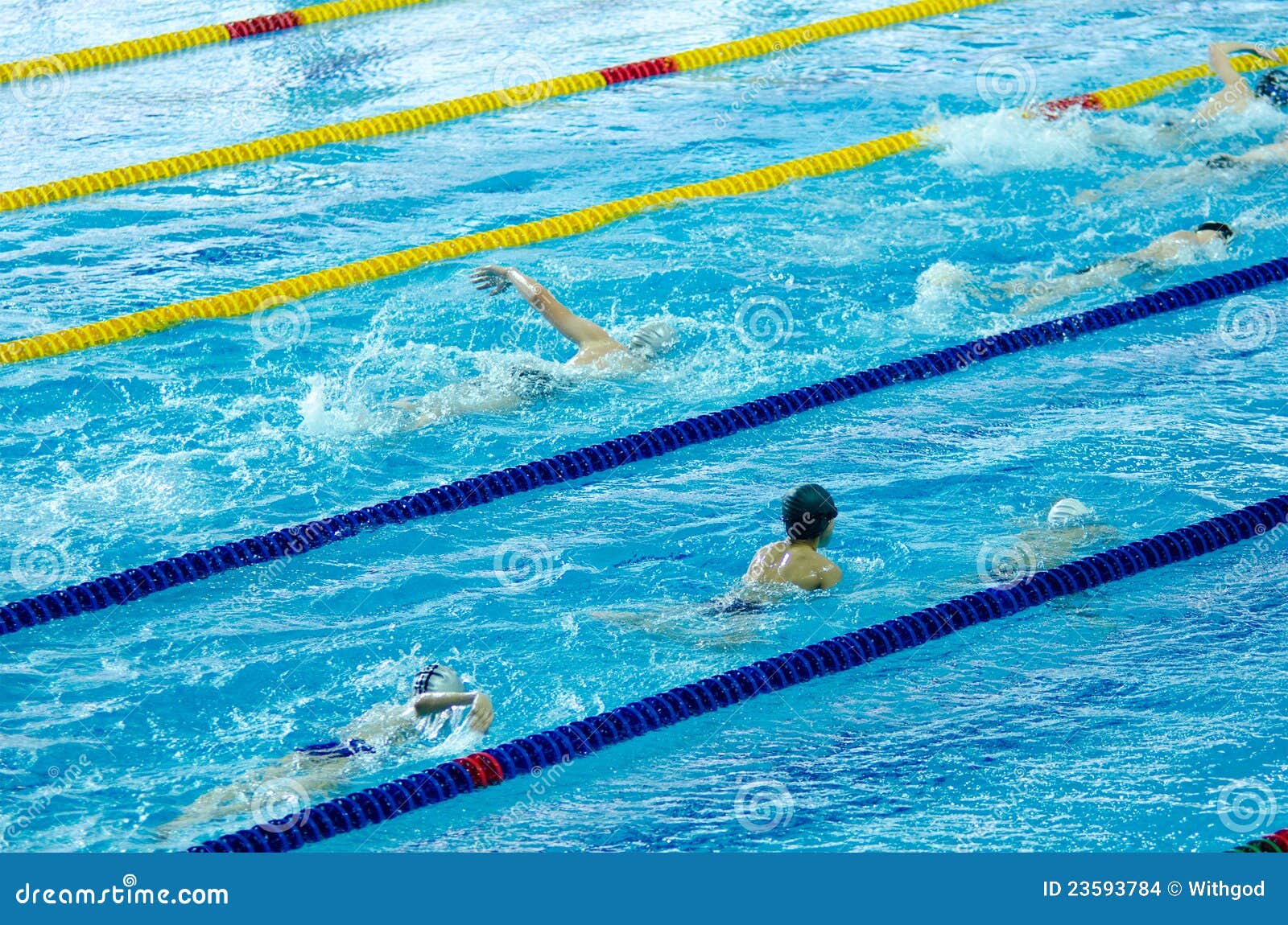 Swimming race stock photo. Image of clean, life, blue - 23593784