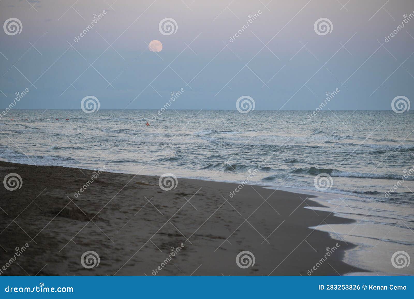 Swimming in the Sea Under the Moonlight Stock Photo - Image of ...