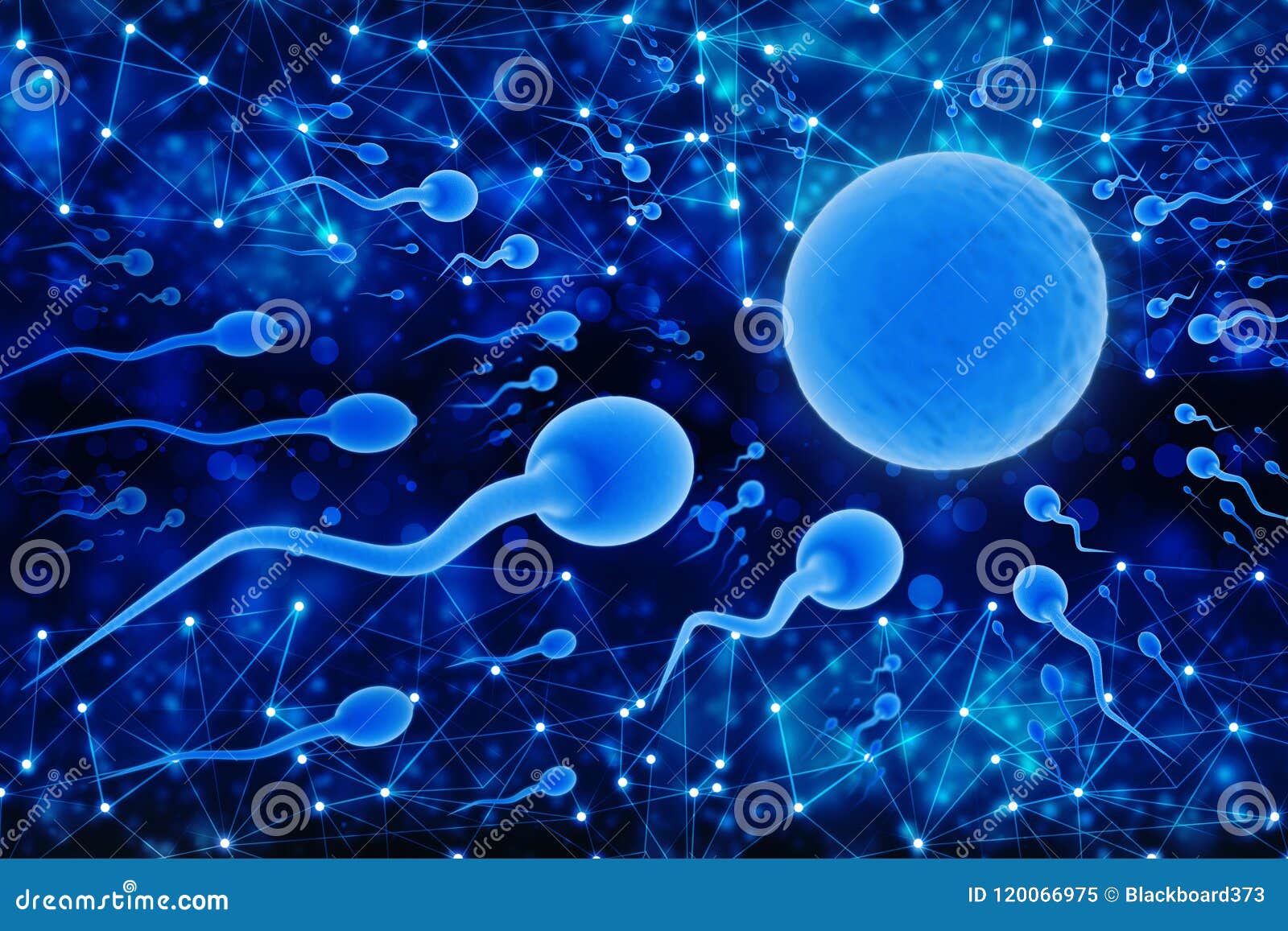 Sperm and Egg Cell on Digital Background. 3d Illustration Stock ...