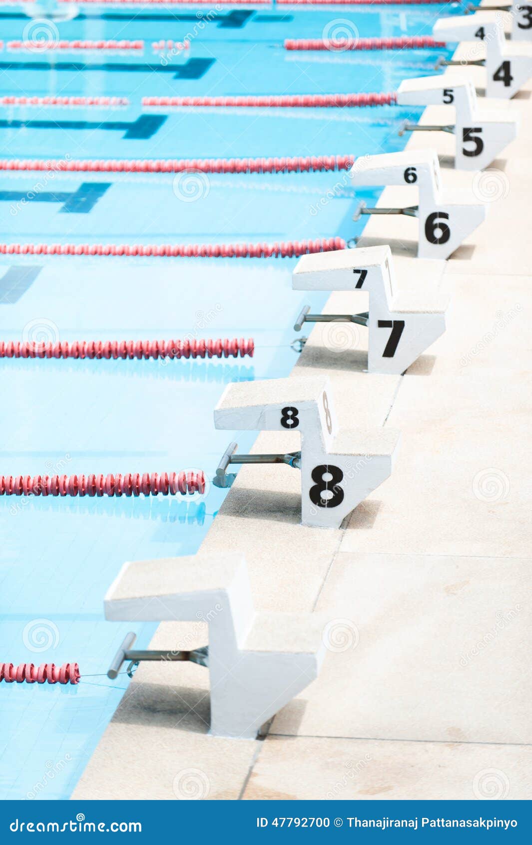 Swimming stand stock photo. Image of race, start, water - 47792700