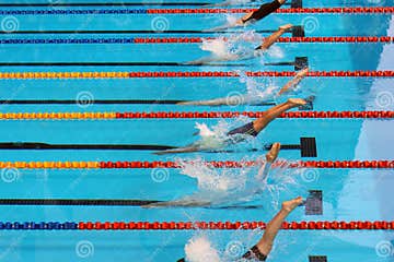 Swimming start 20 stock image. Image of swimming, race - 2389883