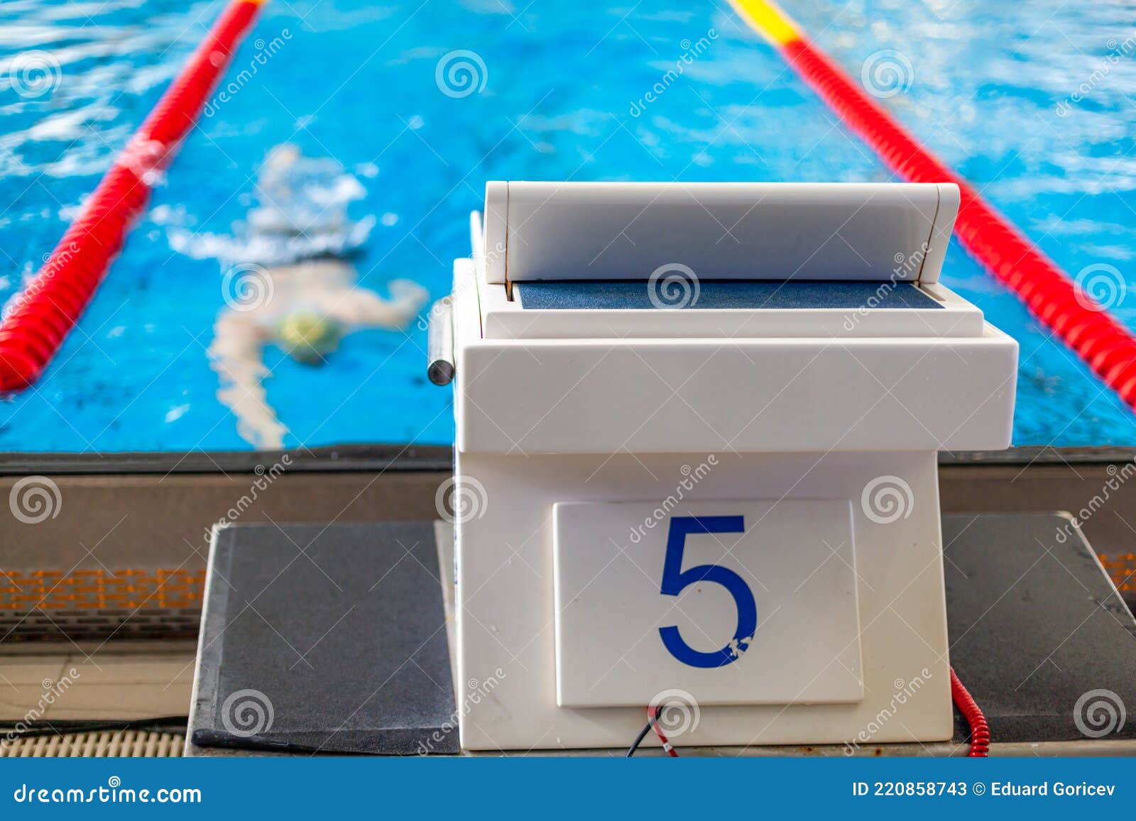 Swimming To the Target during the Race at the Pool Stock Image - Image ...