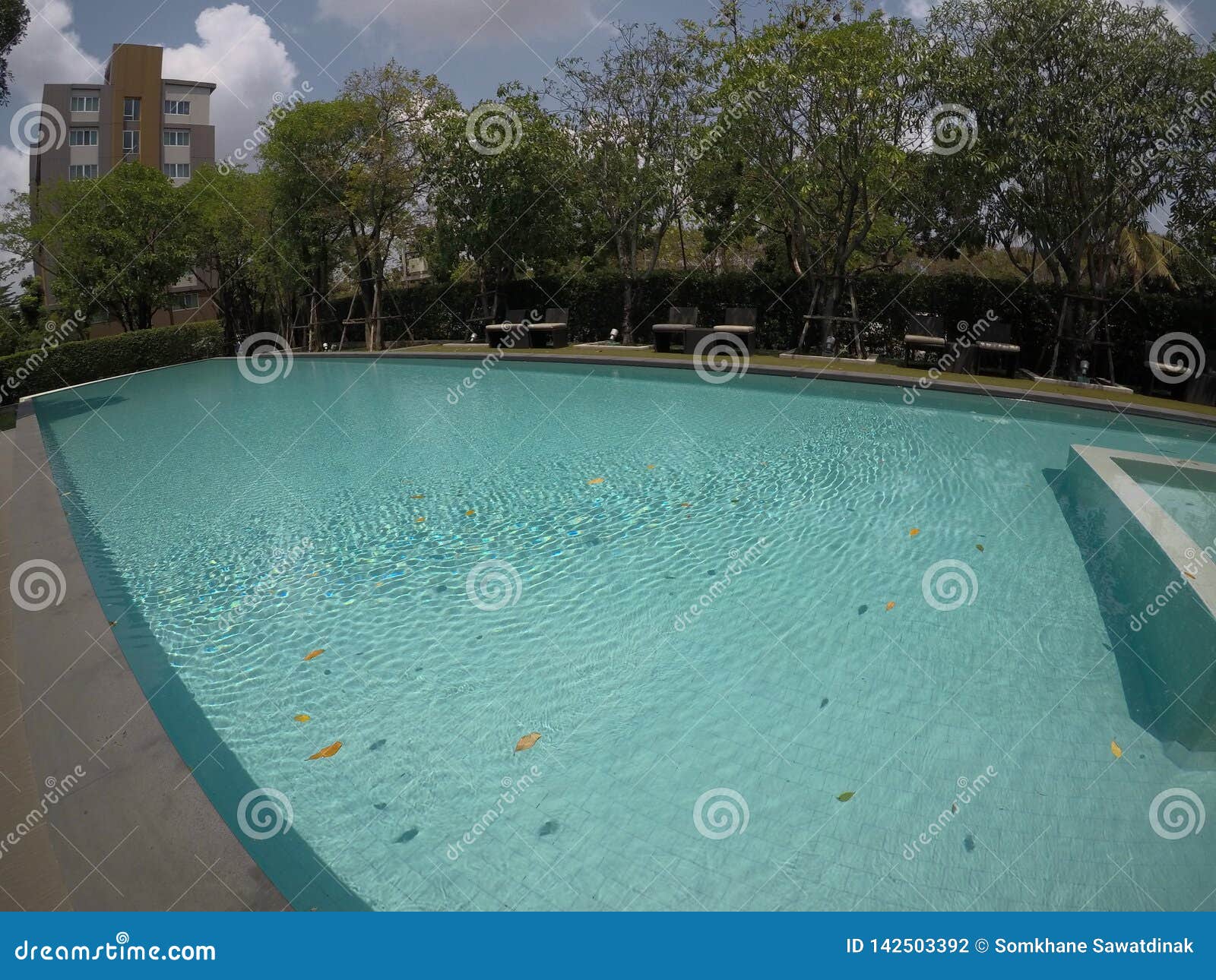 Swimming Training Pool for the 2020 Olympics in Japan Stock Photo ...