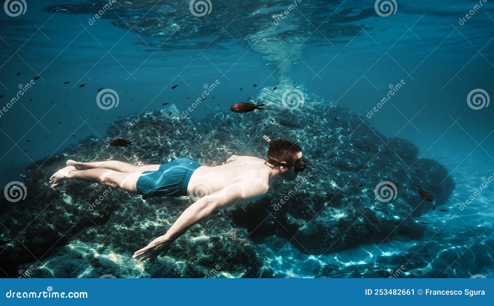 Swimming Underwater among the Fish Stock Image - Image of swim, diving ...
