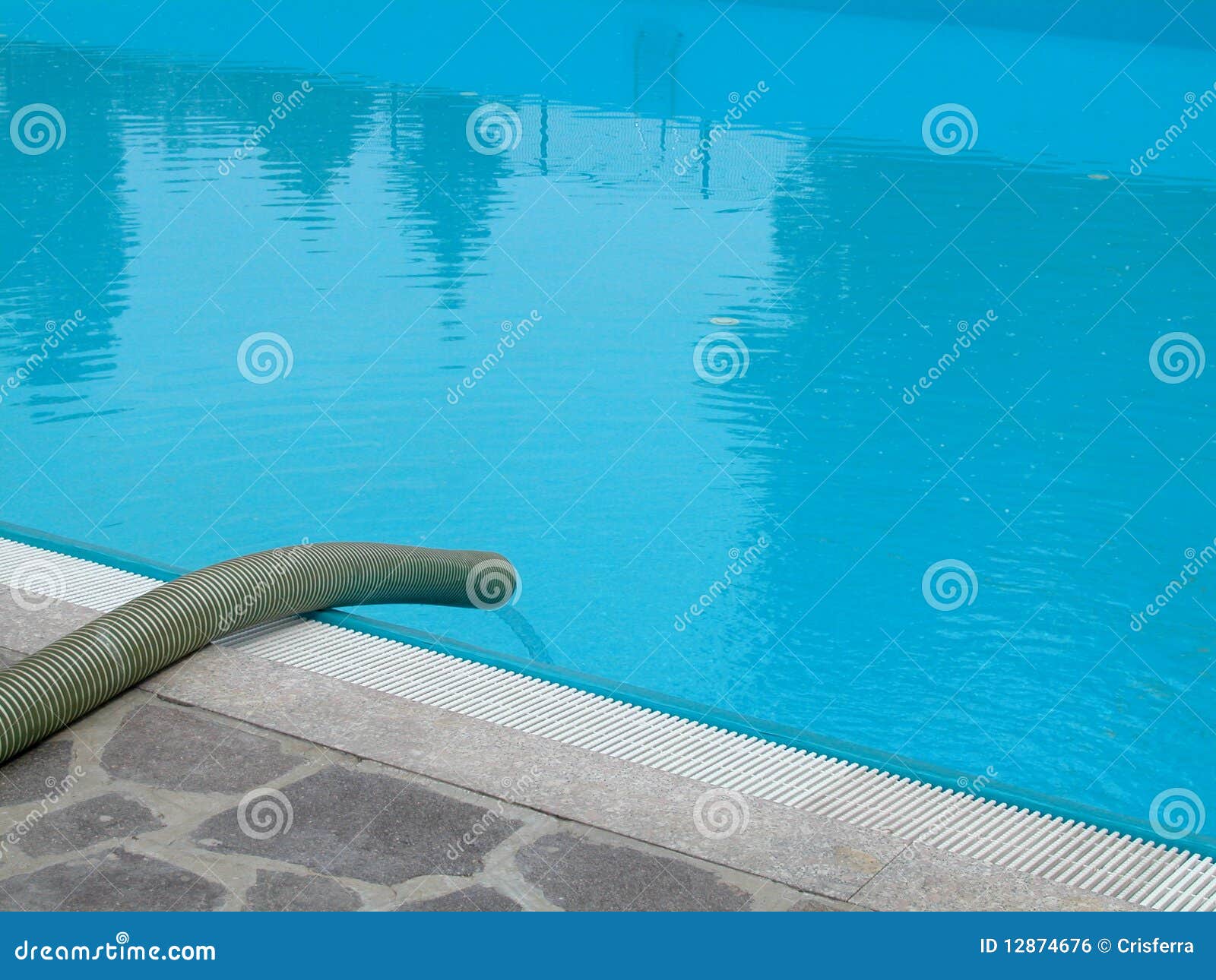 Swimmingpool stock photo. Image of background, feeding - 12874676