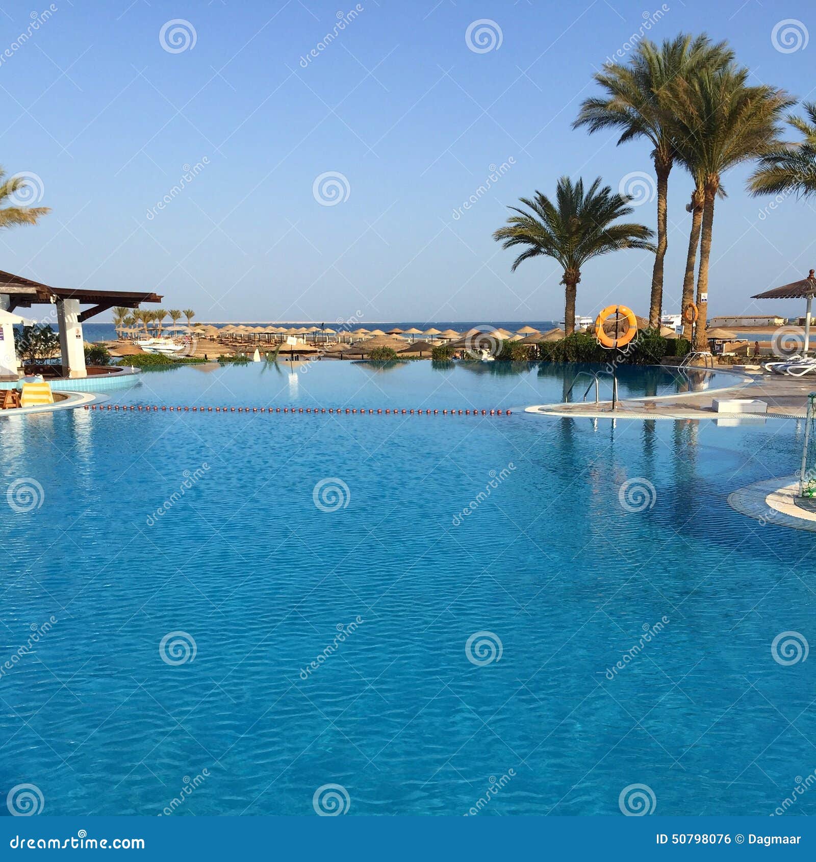 Swimmingpool stock photo. Image of egypt, sunset, pond - 50798076