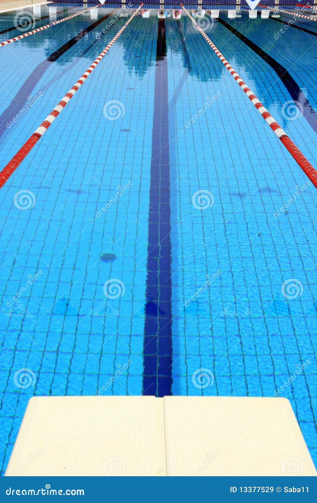 SwimmingpoolAbschussrampeen- U. -wasserlinien Stockbild - Bild von ...