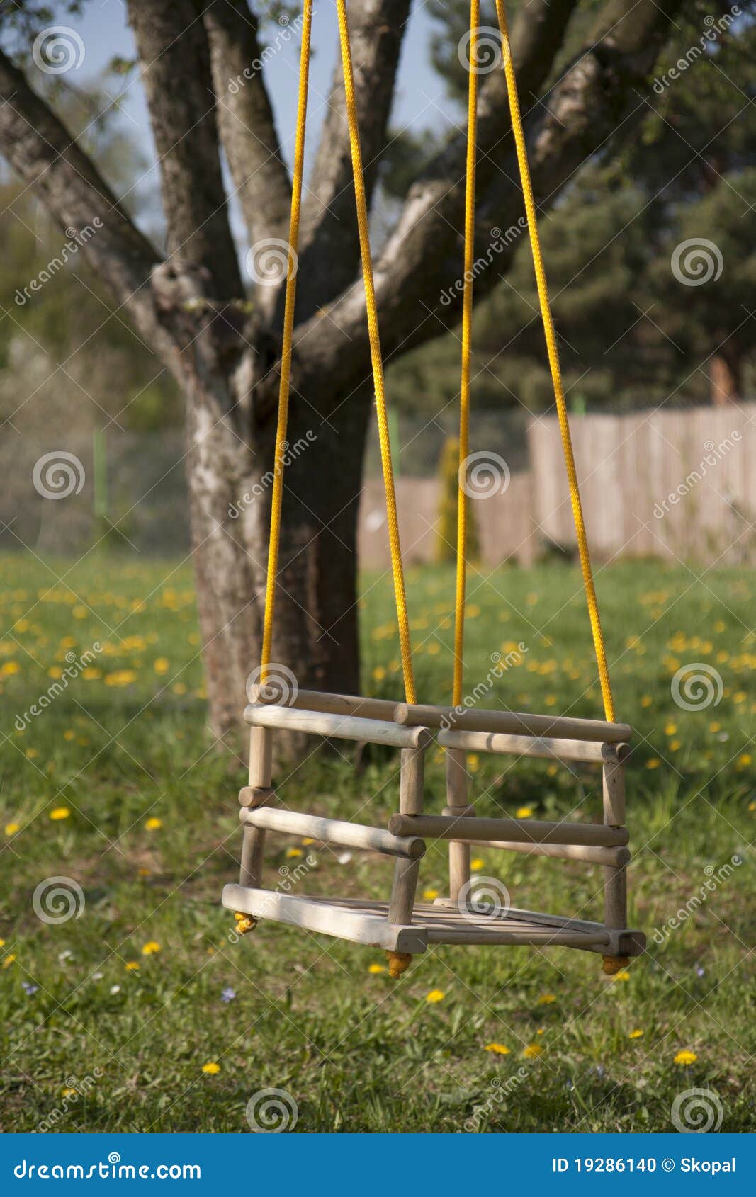 Swing stock photo. Image of tree, hanging, empty, spring - 19286140