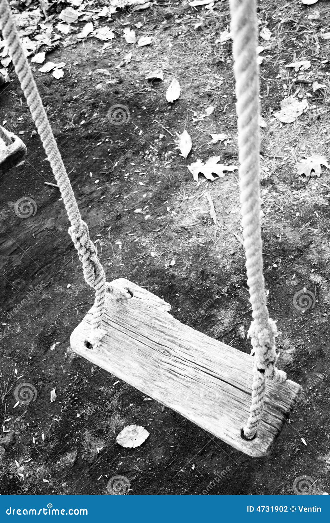 Swing stock photo. Image of swing, activity, childhood - 4731902