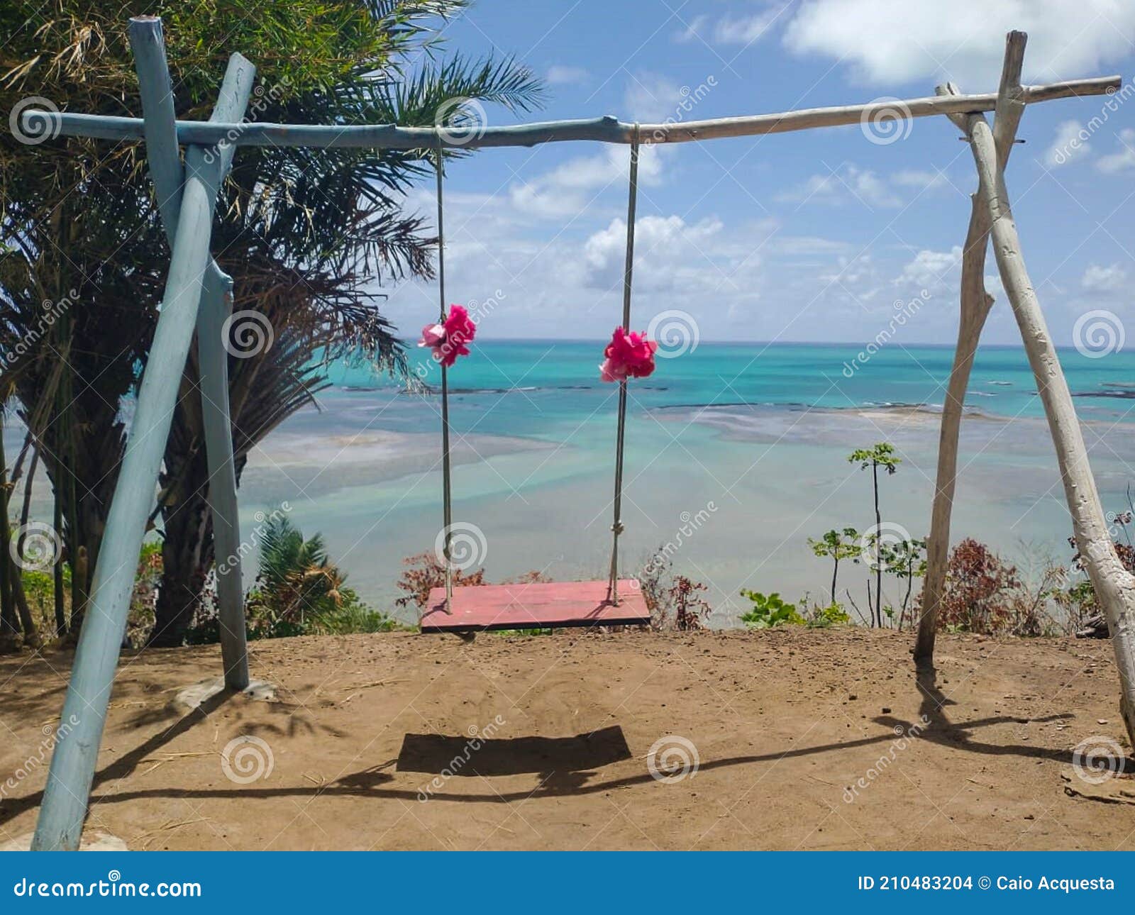 Swing on the Beach, Natural Pools of the Coral Reefs Barrier Stock ...
