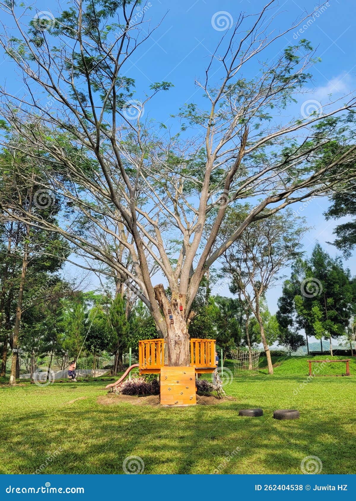 Swing on the Big Tree editorial stock photo. Image of house - 262404538